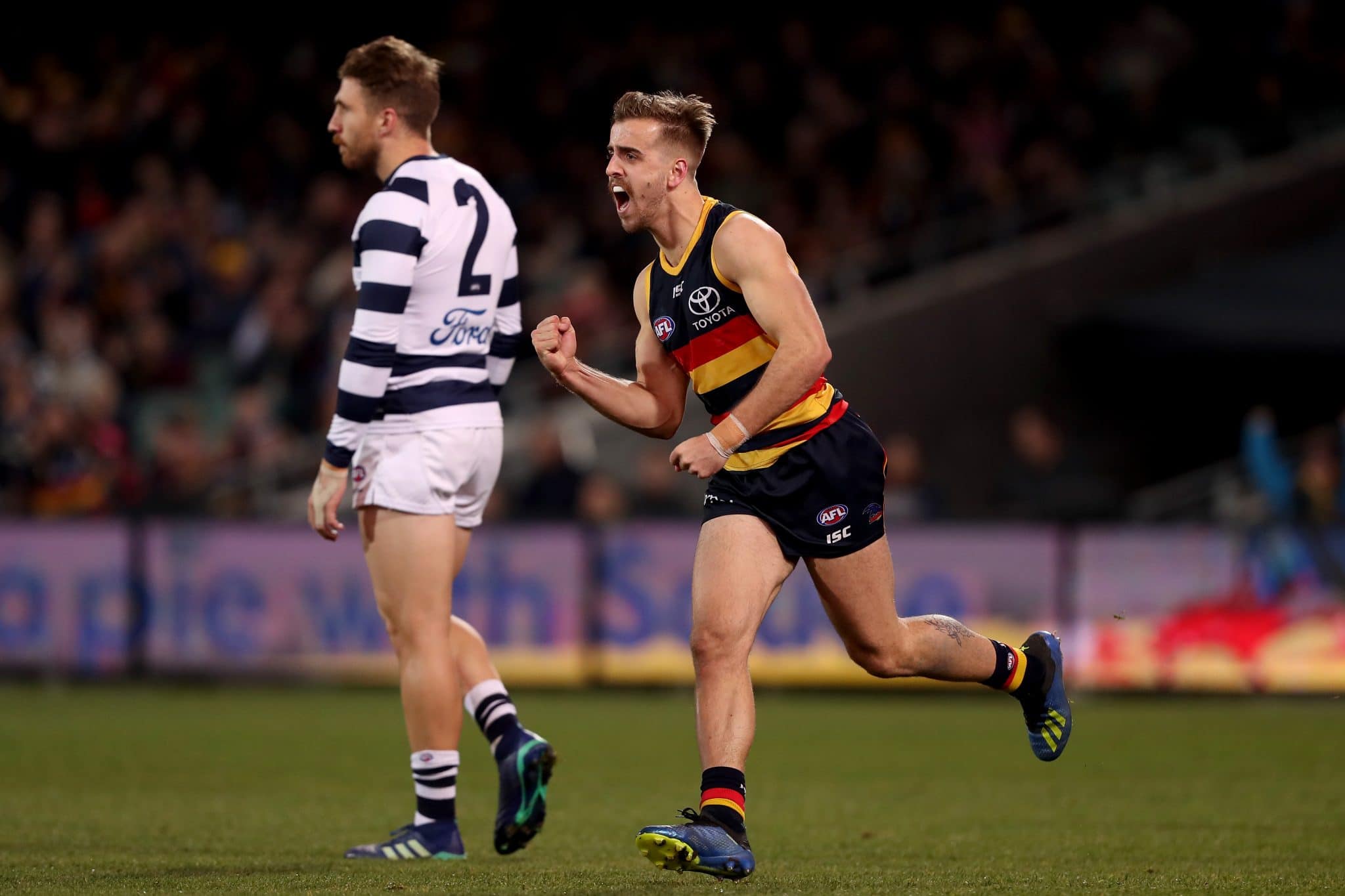 Jordan Gallucci | Adelaide Football Club