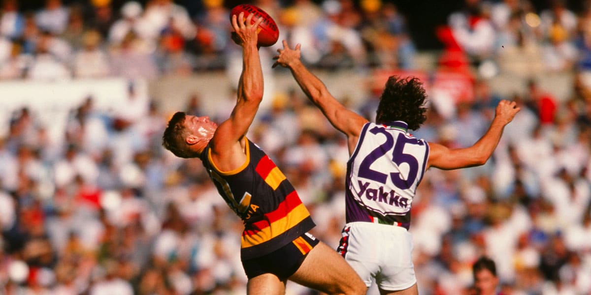 Chad Rintoul | Adelaide Football Club