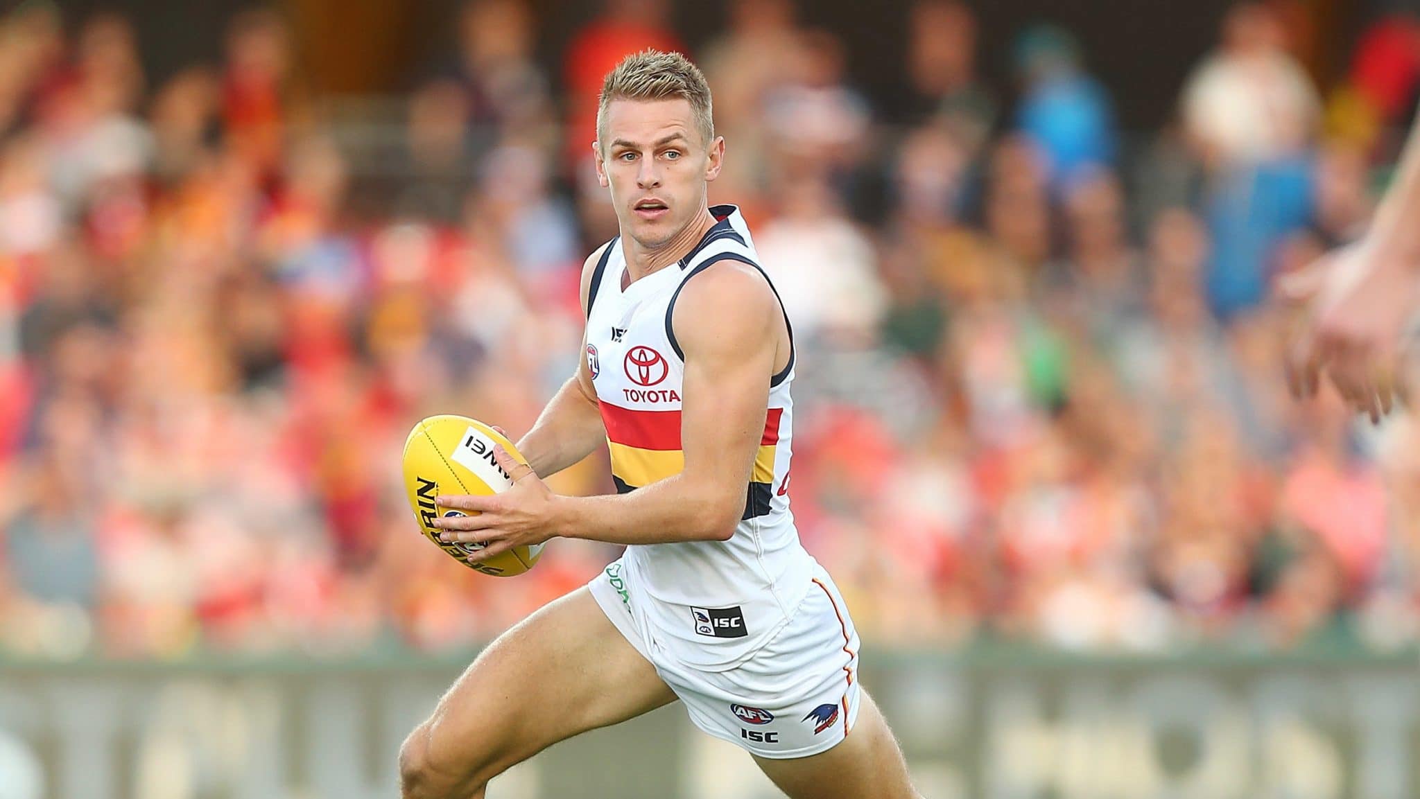 David Mackay | Adelaide Football Club