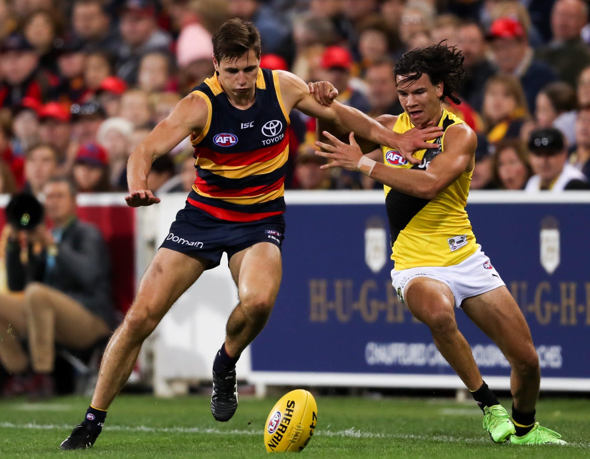 Jake Kelly | Adelaide Football Club