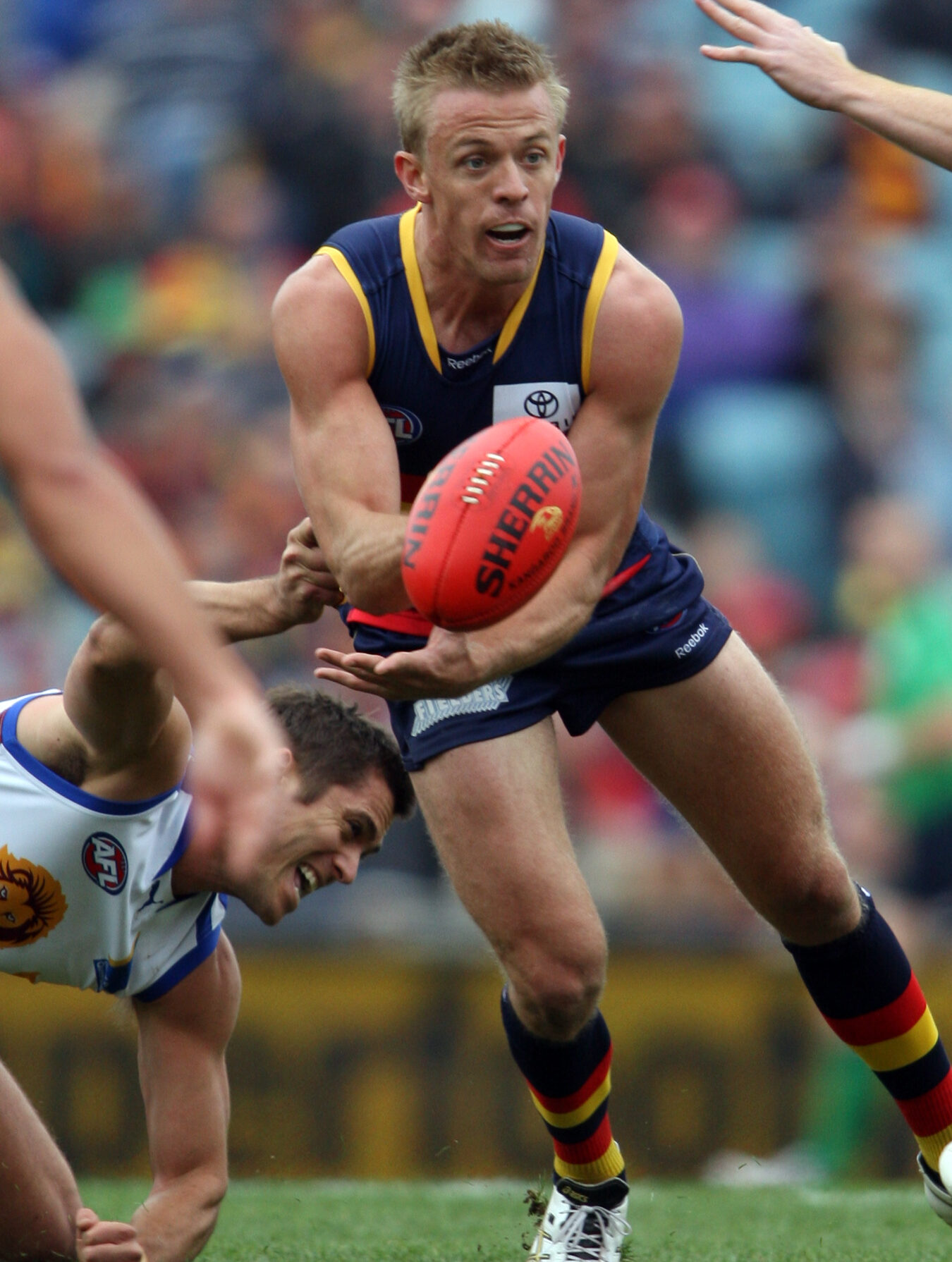 Nathan van Berlo | Adelaide Football Club