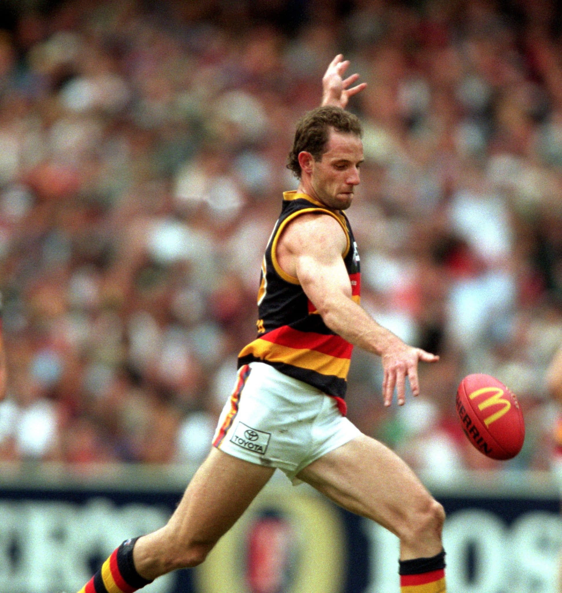 Shane Ellen | Adelaide Football Club