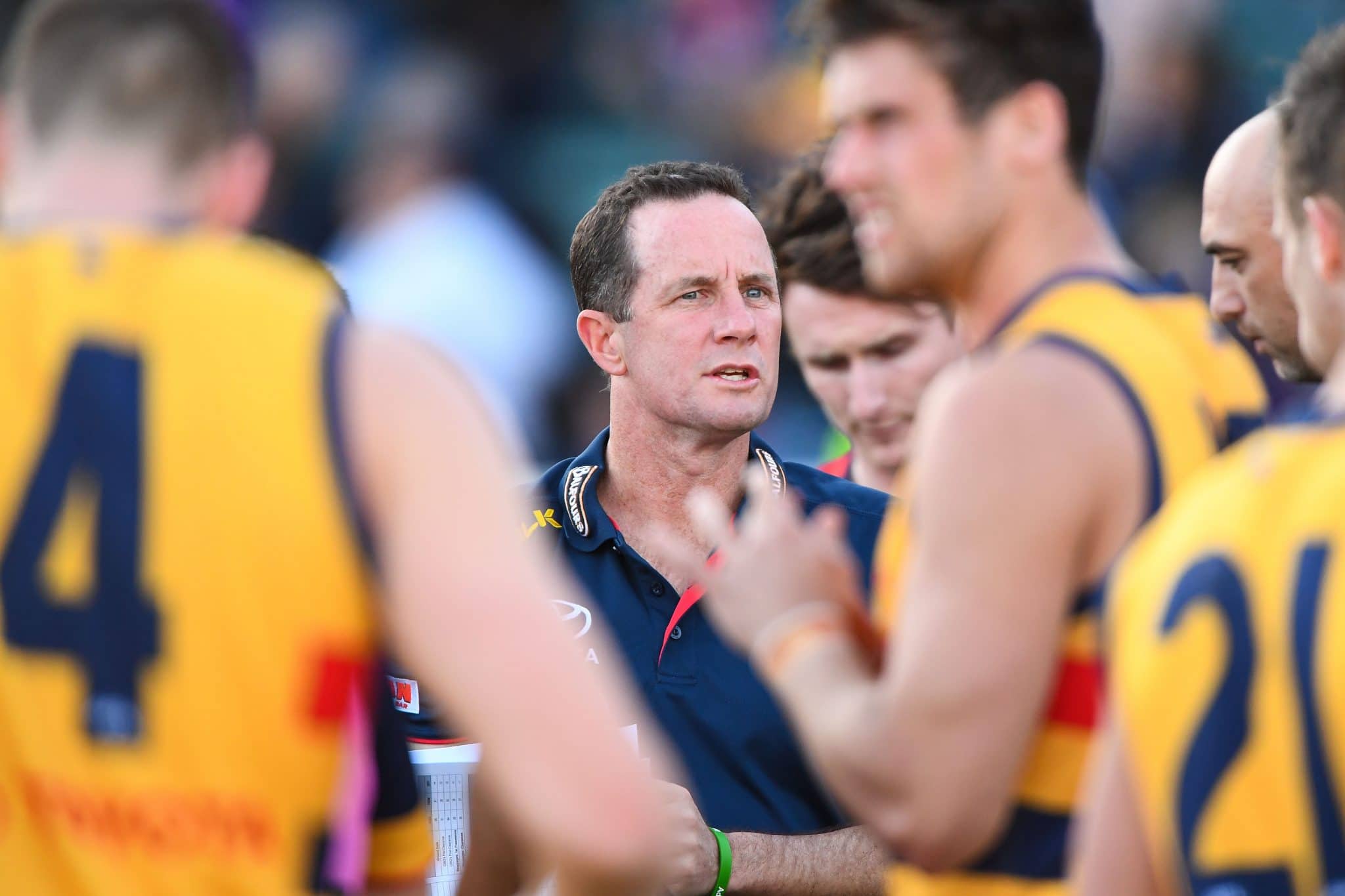 2016 | Adelaide Football Club