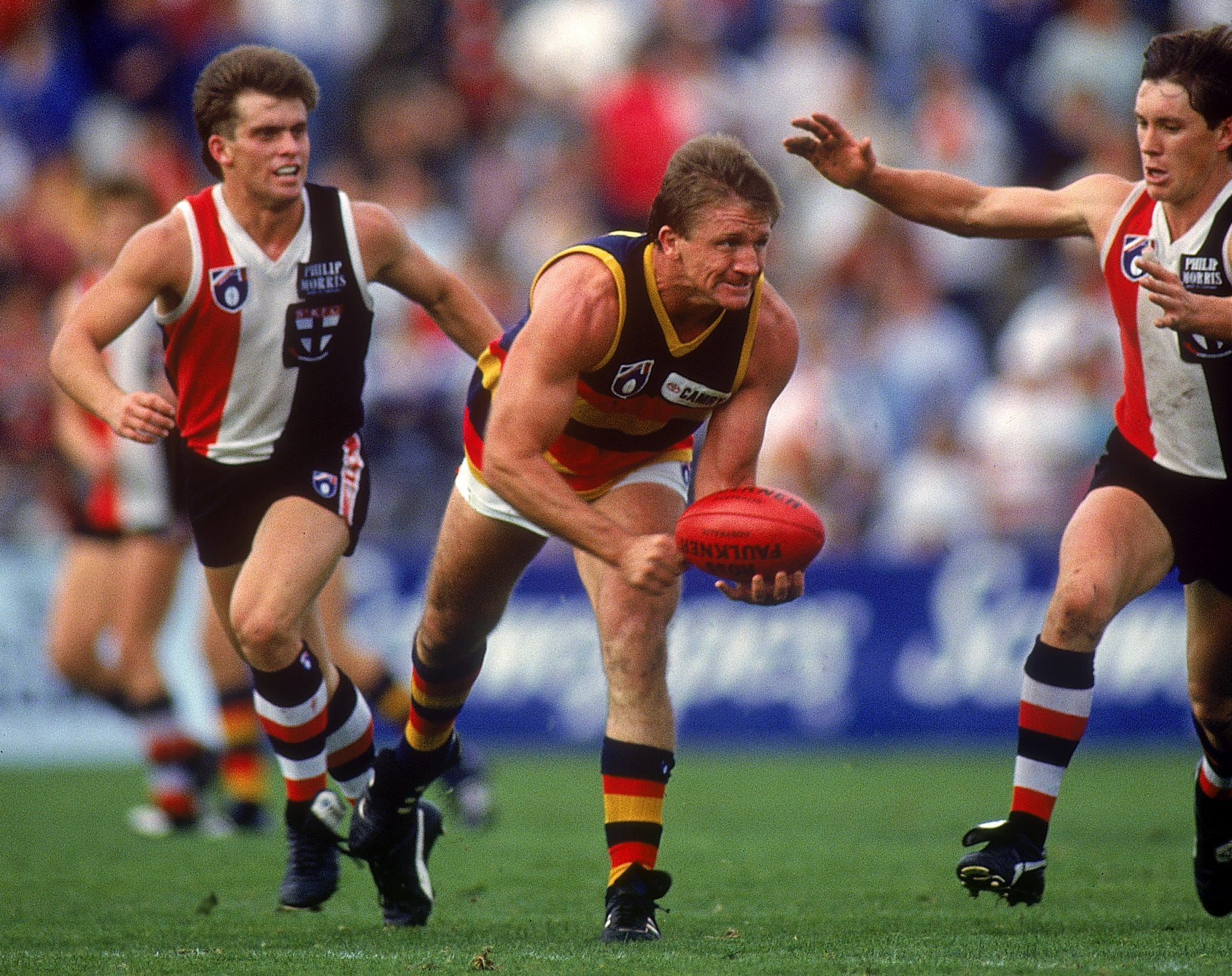 1992 | Adelaide Football Club
