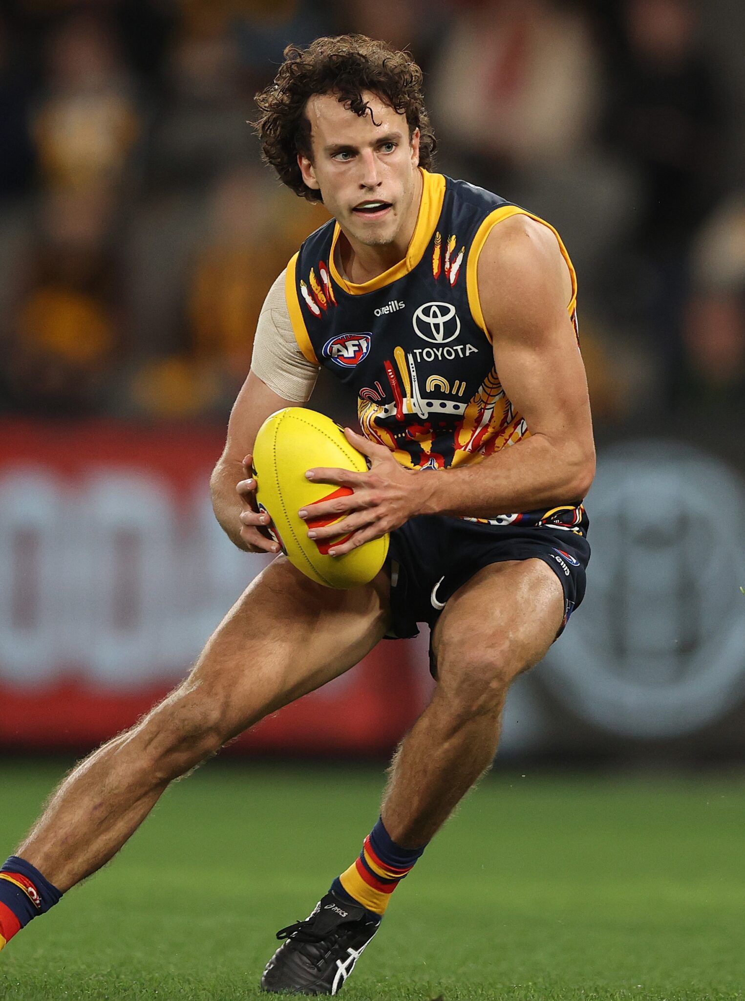 Will Hamill | Adelaide Football Club