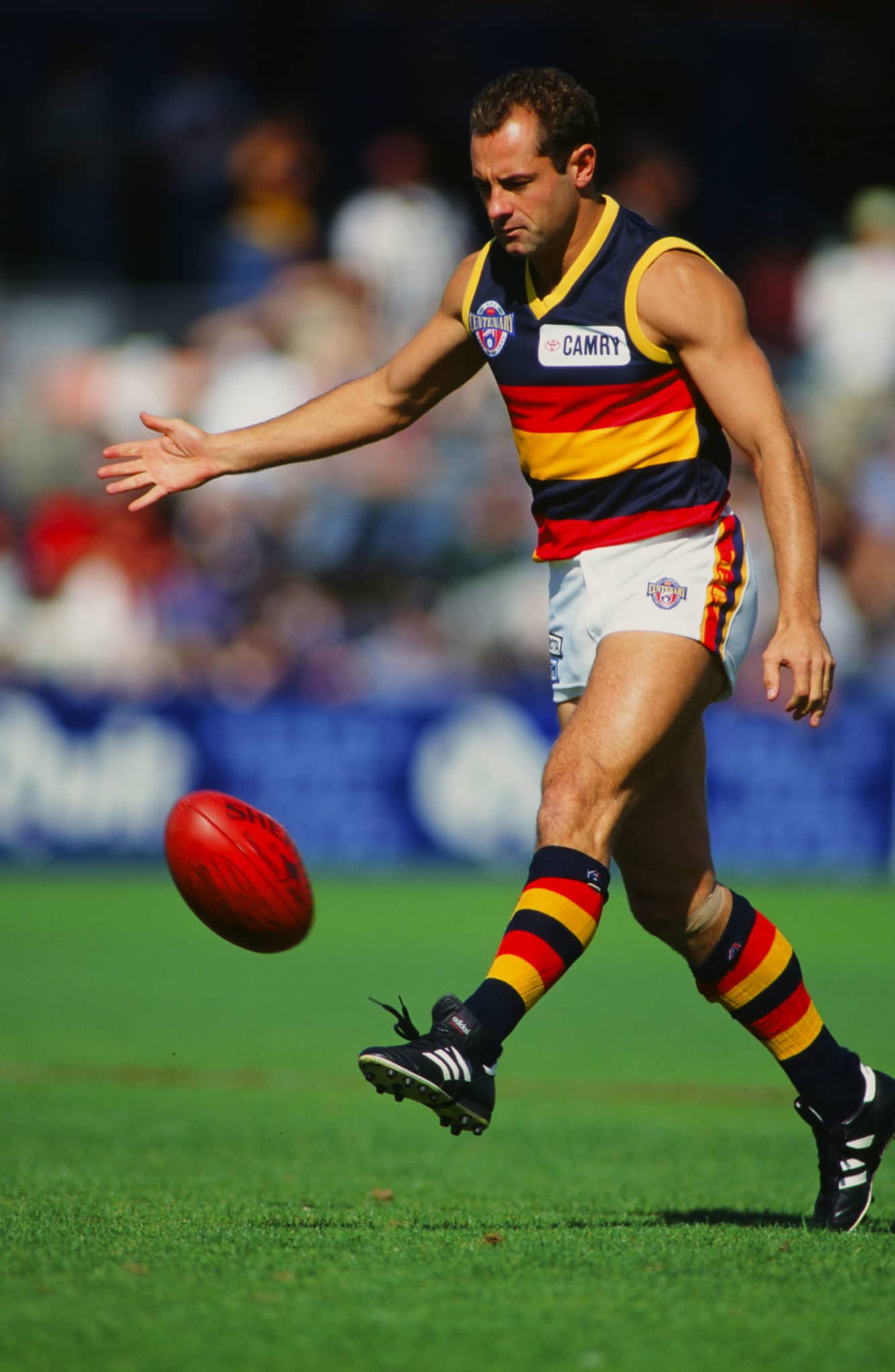 1993 | Adelaide Football Club