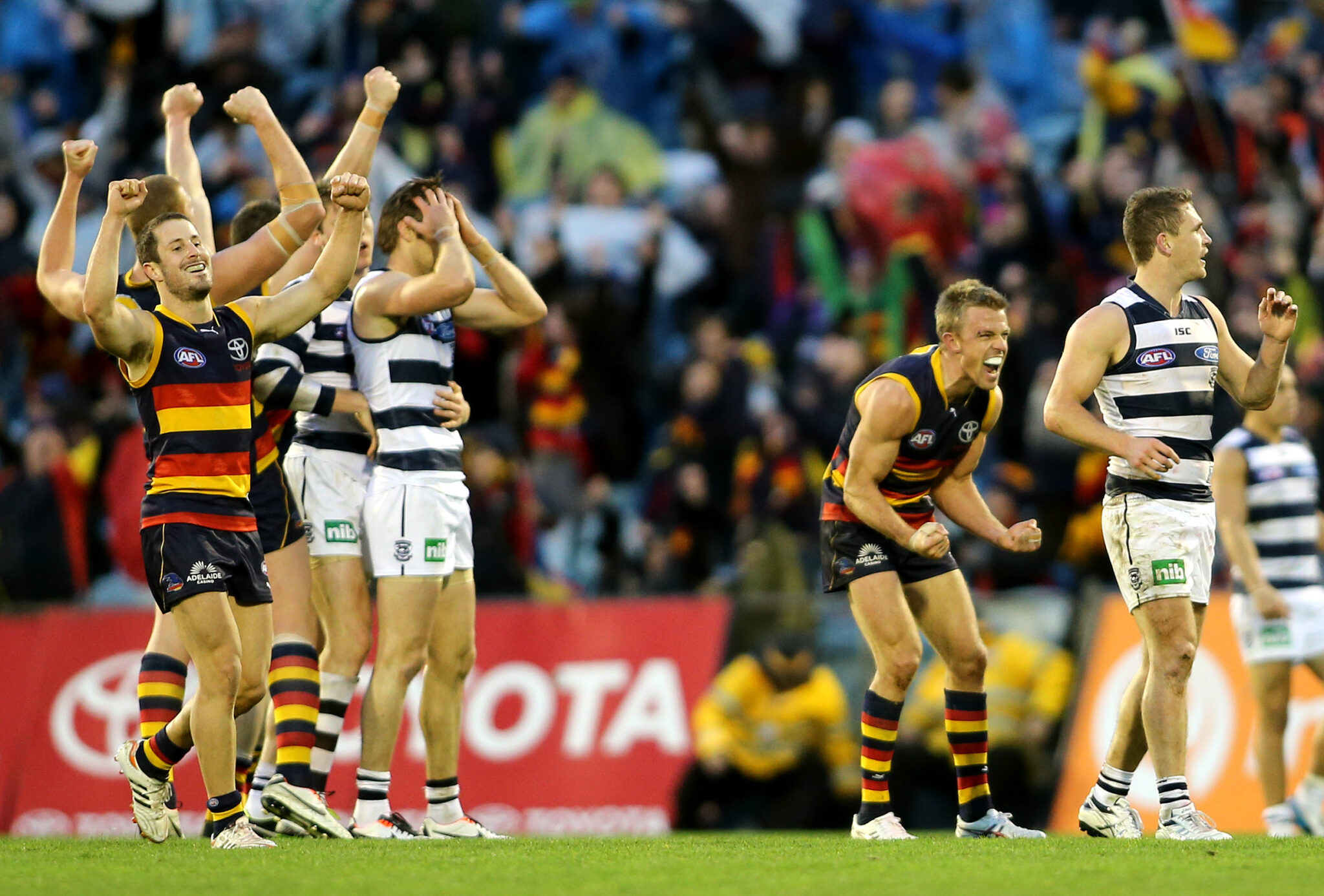 2016 | Adelaide Football Club