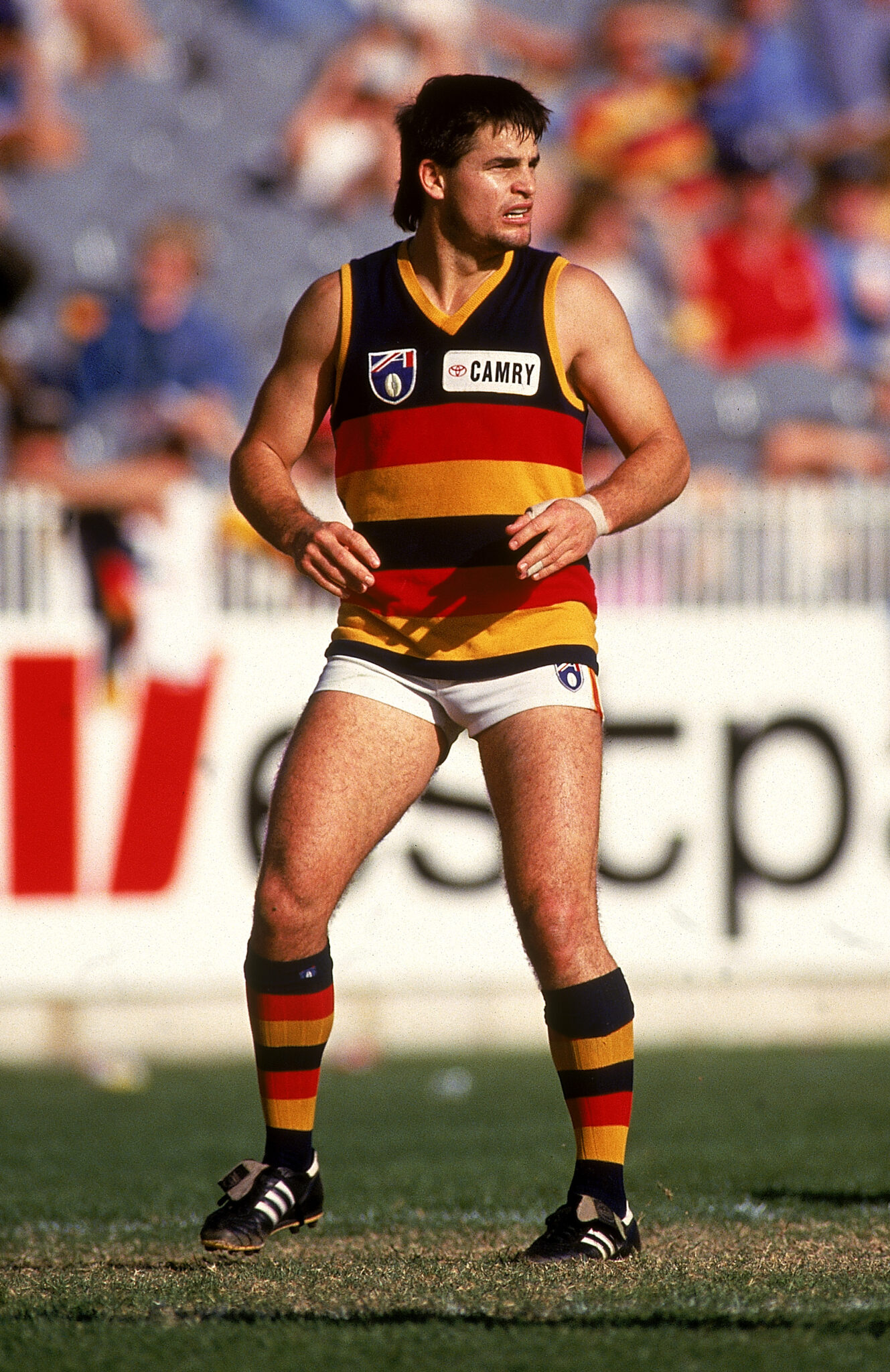 1993 | Adelaide Football Club