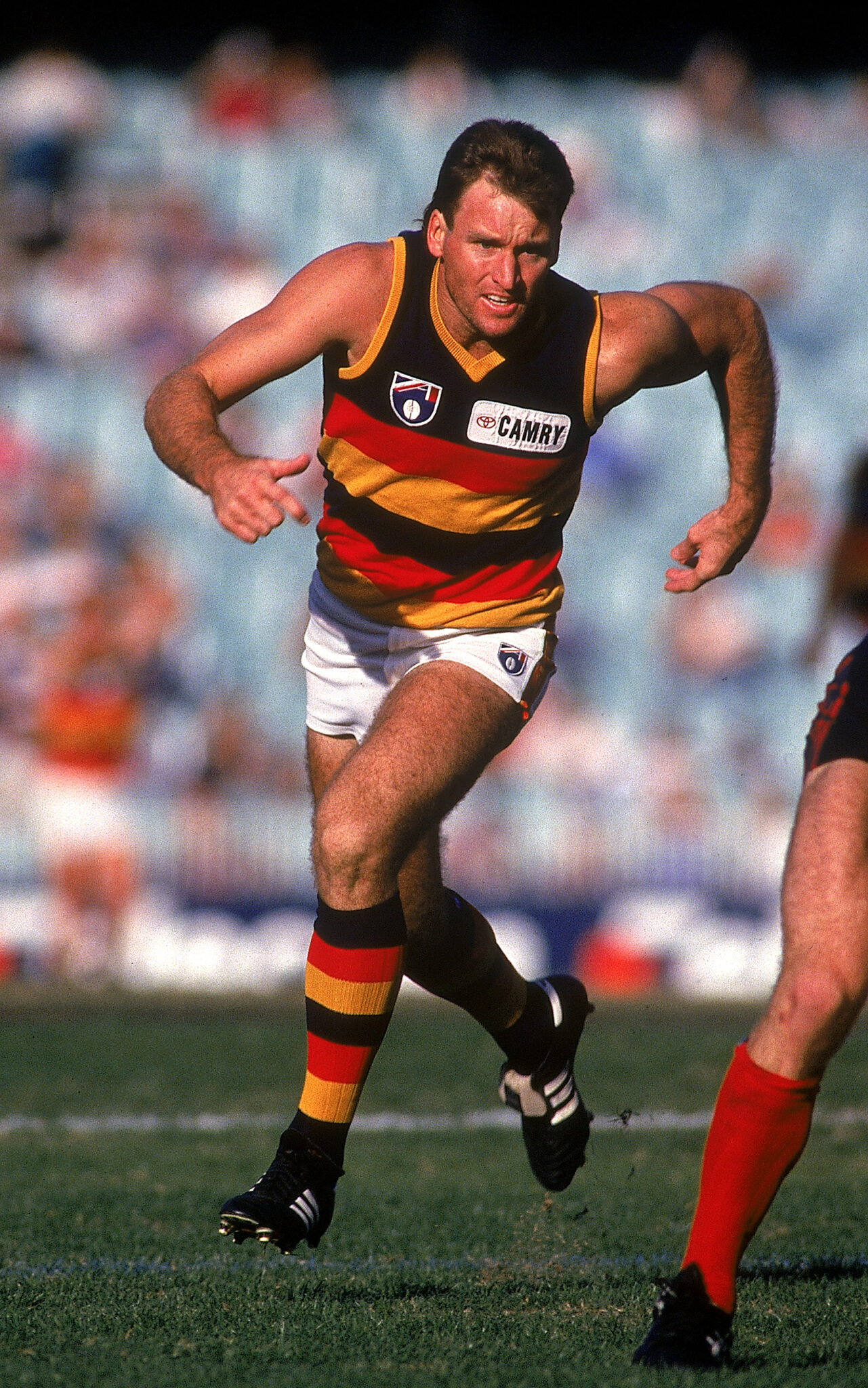 1993 | Adelaide Football Club