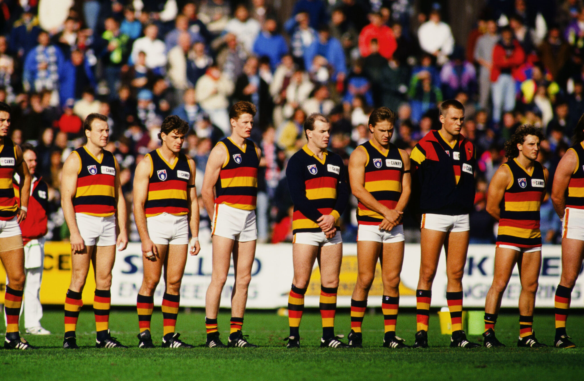 1993 | Adelaide Football Club