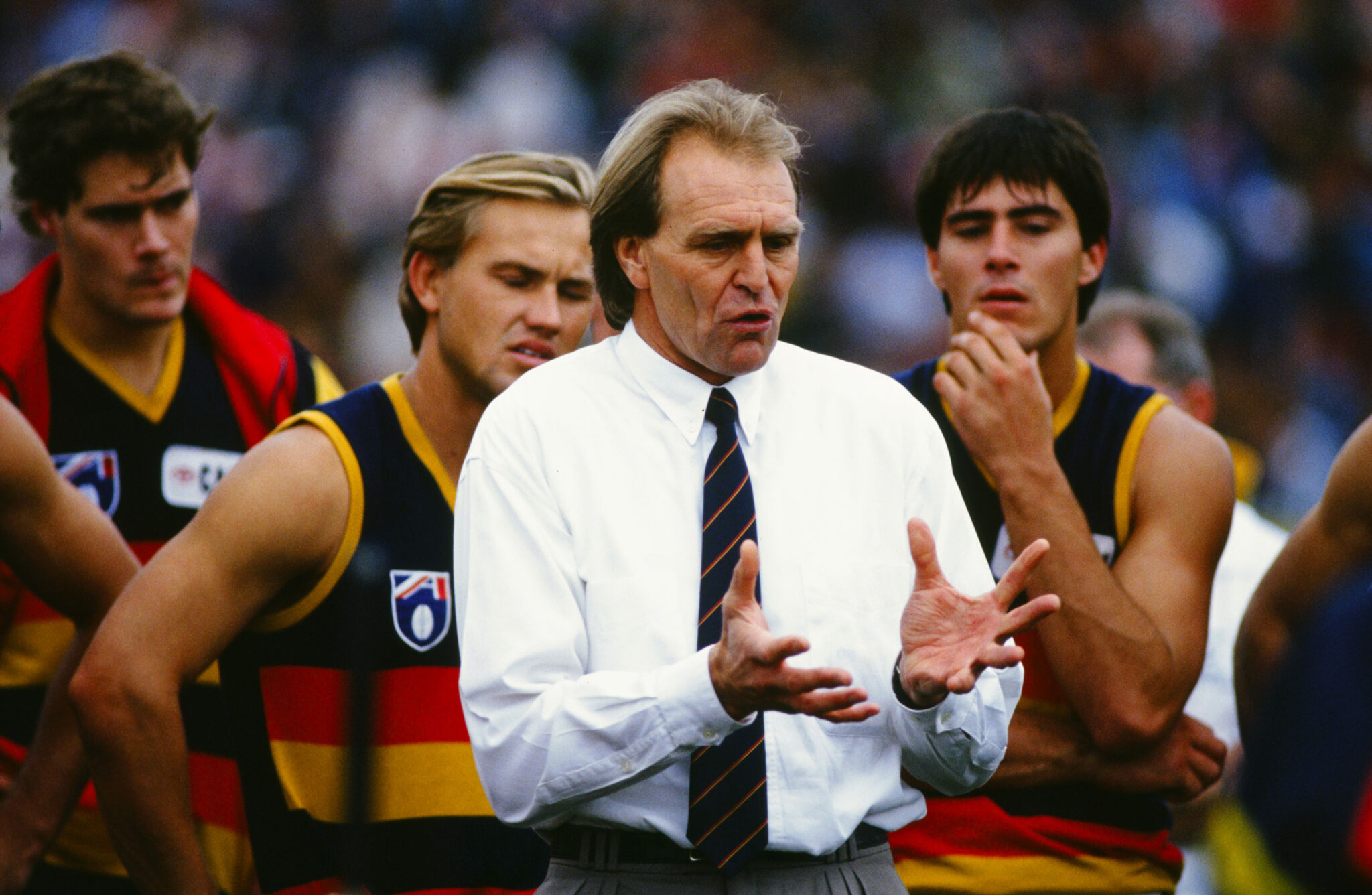 1994 | Adelaide Football Club
