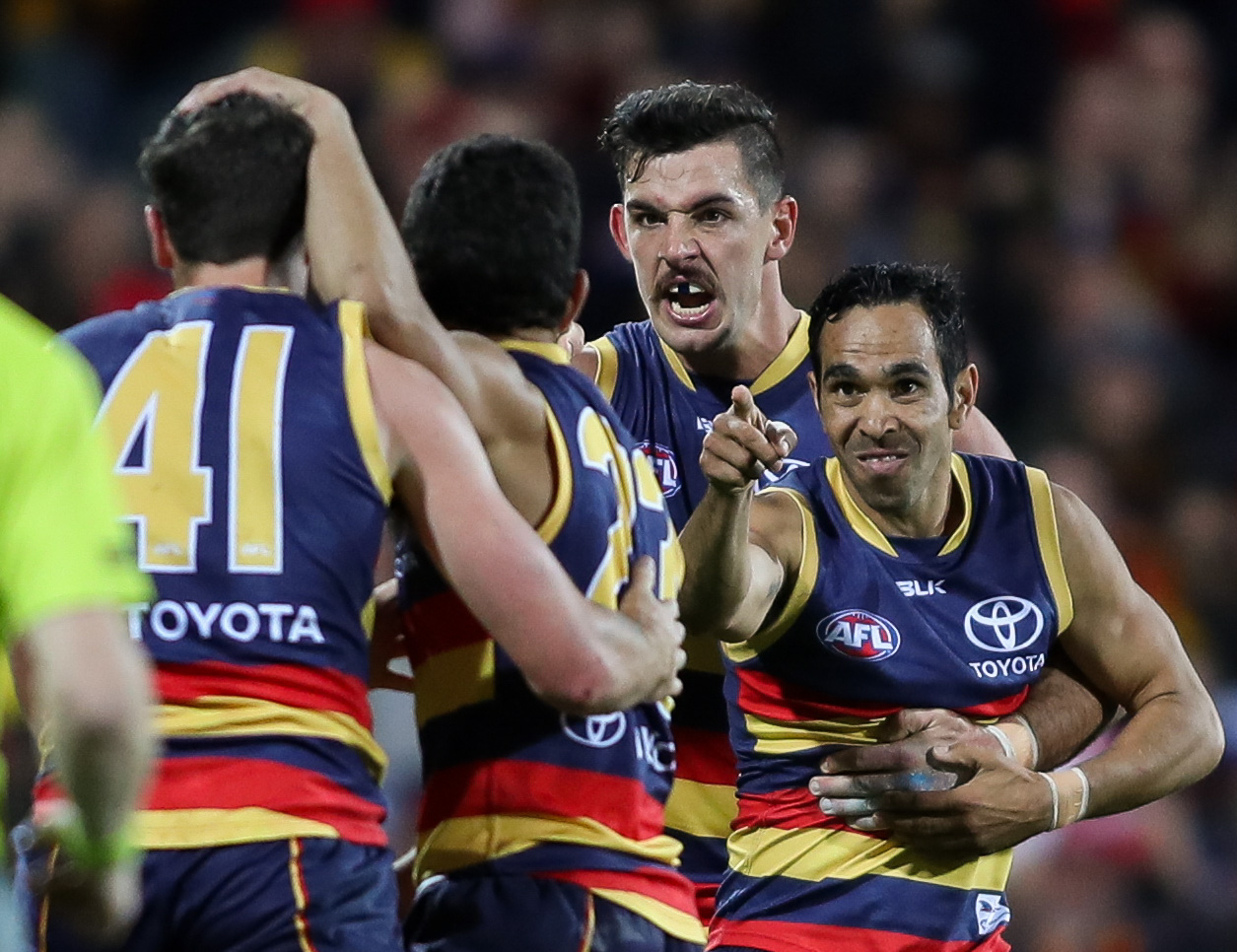 2016 | Adelaide Football Club