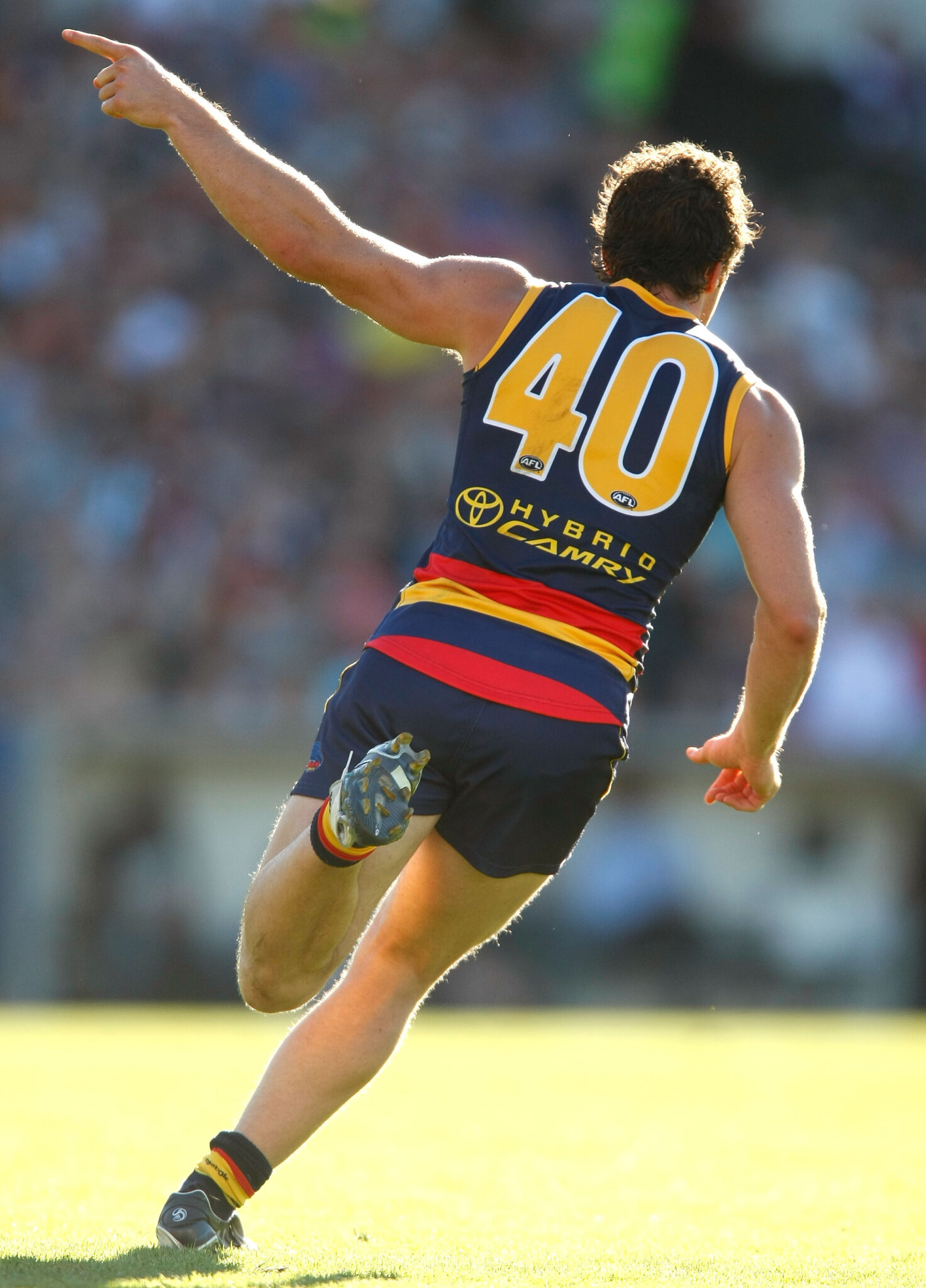 2014 | Adelaide Football Club