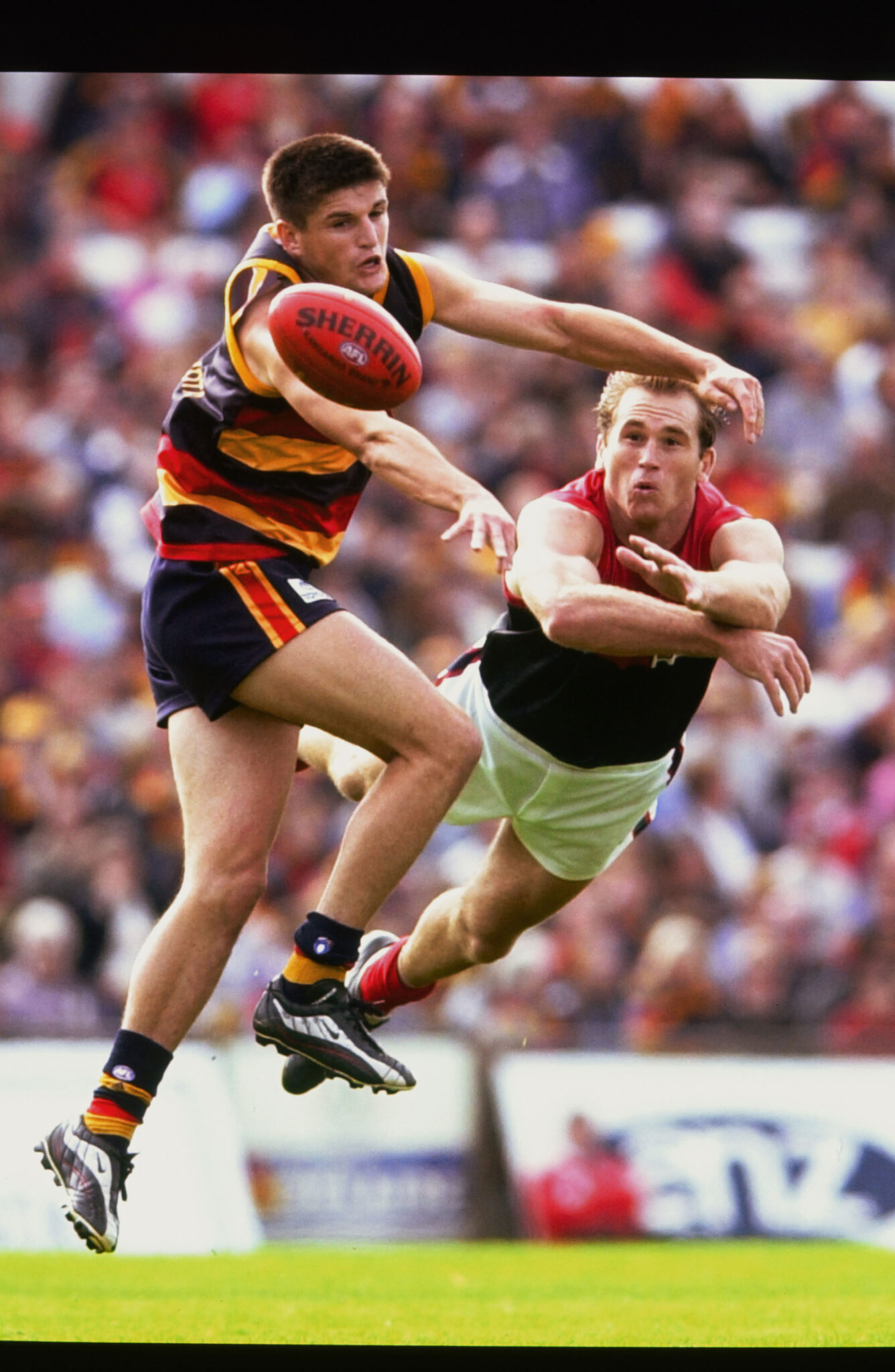 2000 | Adelaide Football Club