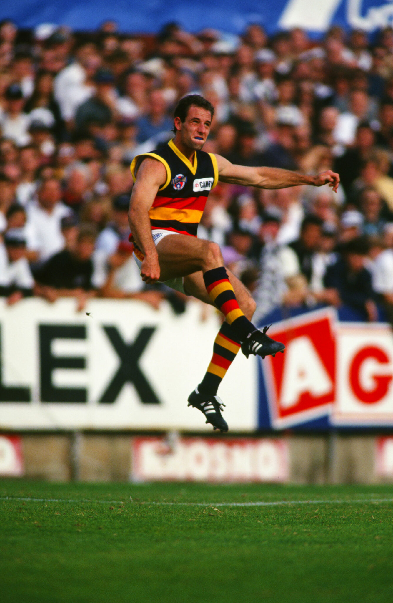 1996 | Adelaide Football Club