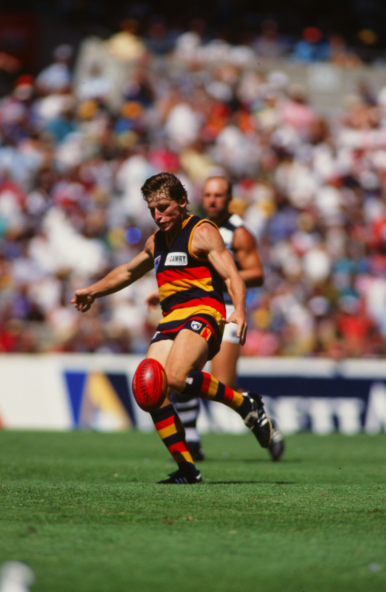 1995 | Adelaide Football Club