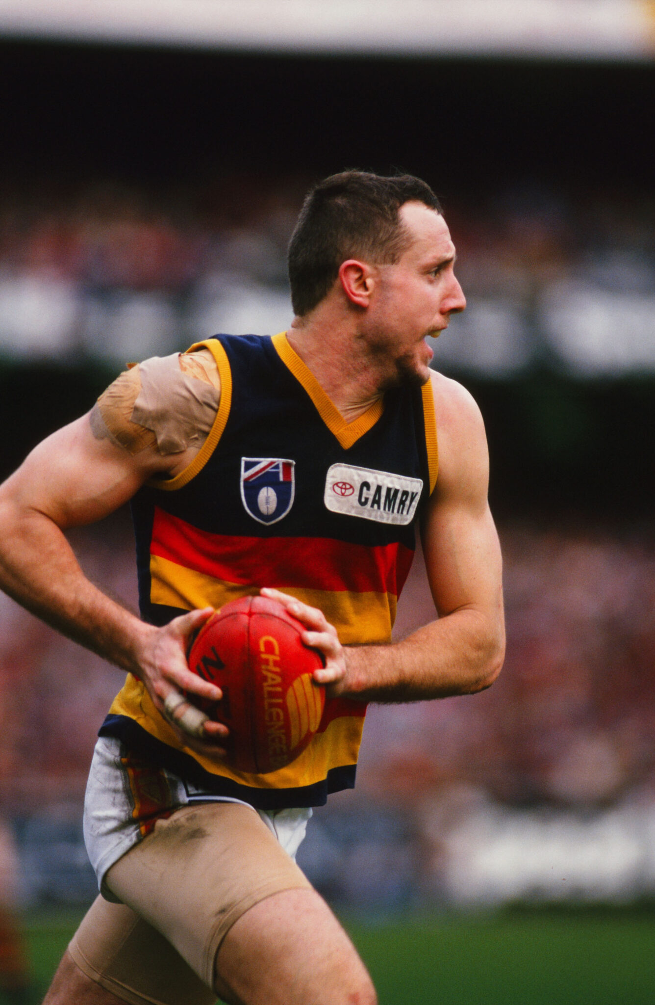 1995 | Adelaide Football Club