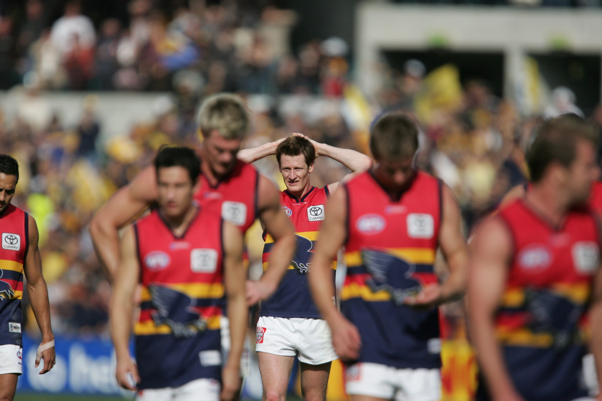 2005 | Adelaide Football Club
