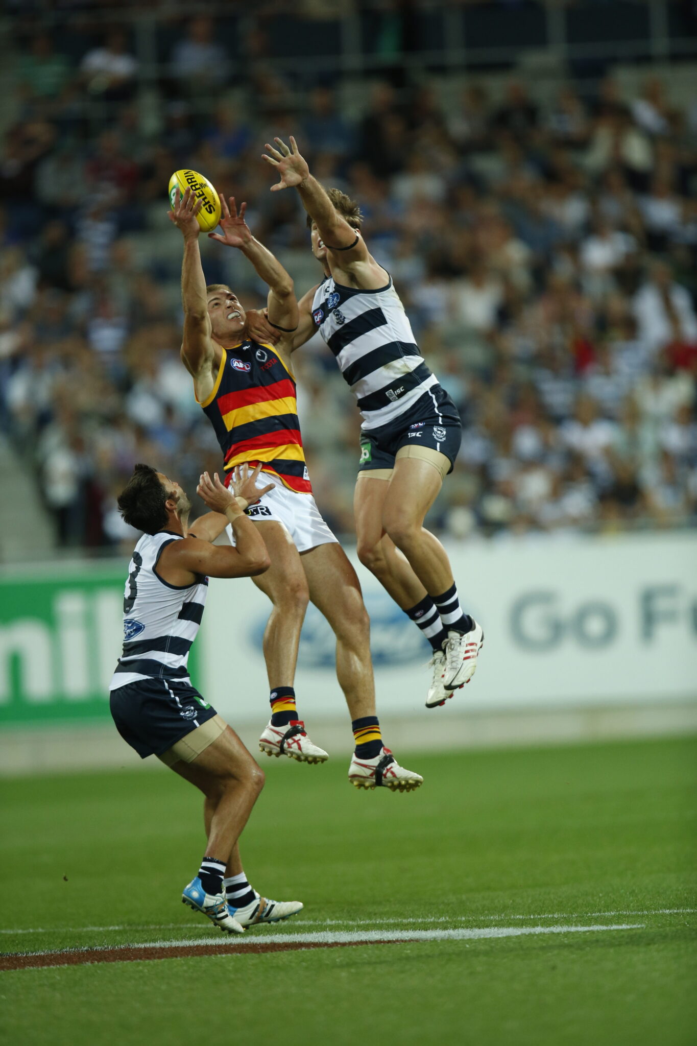 2014 | Adelaide Football Club