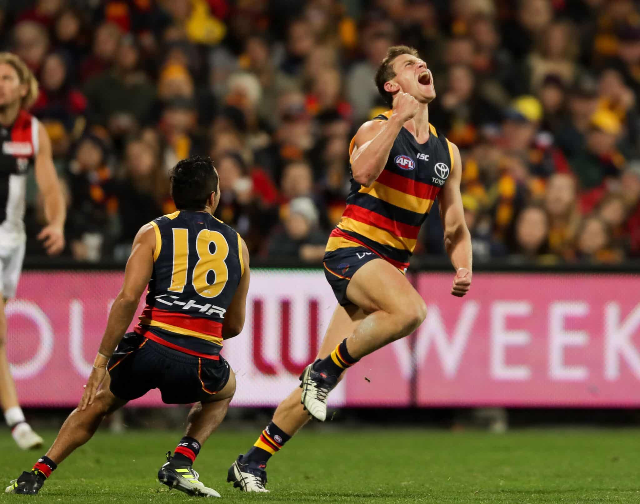 2017 AFL | Adelaide Football Club