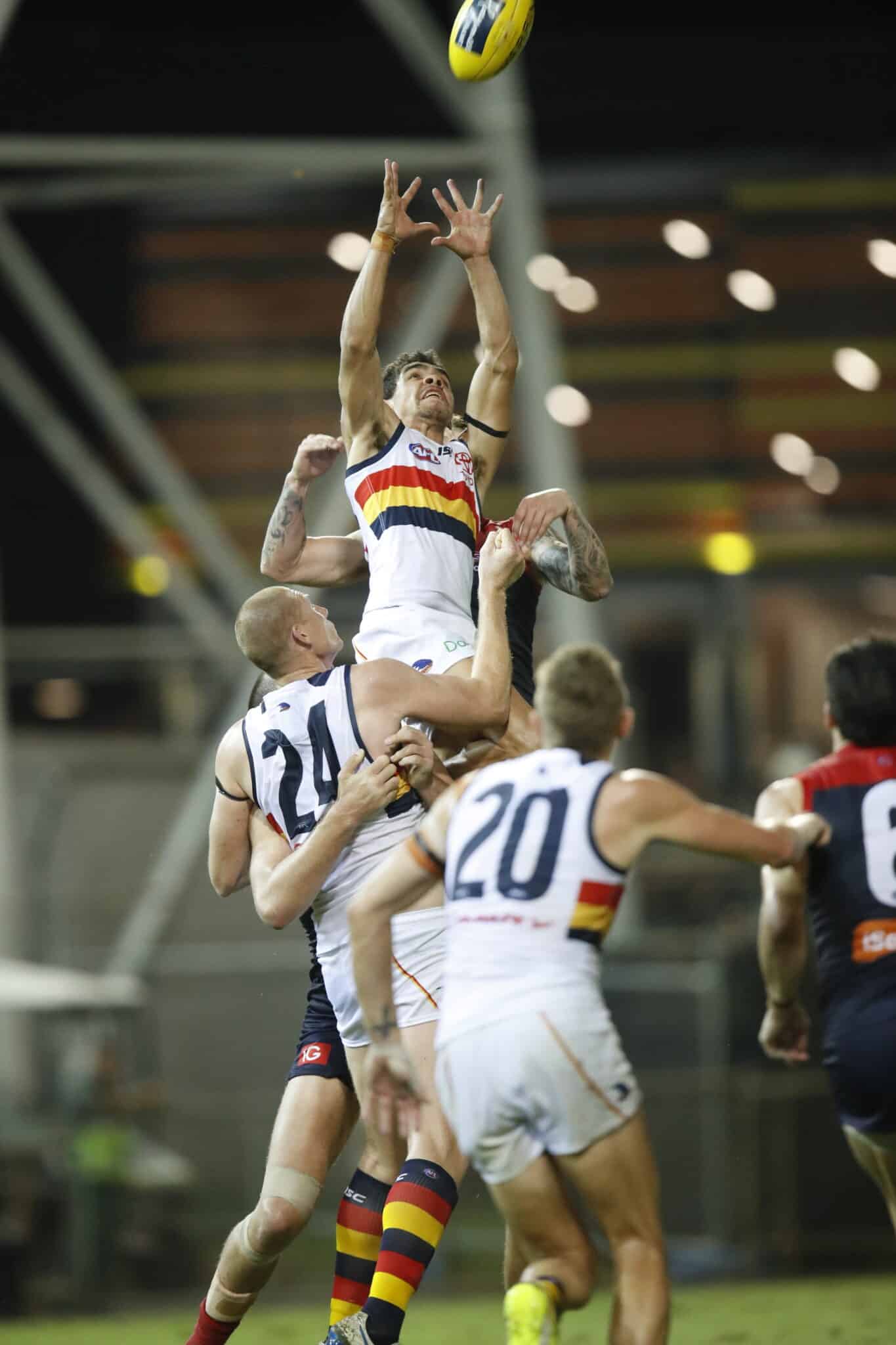 2017 AFL | Adelaide Football Club