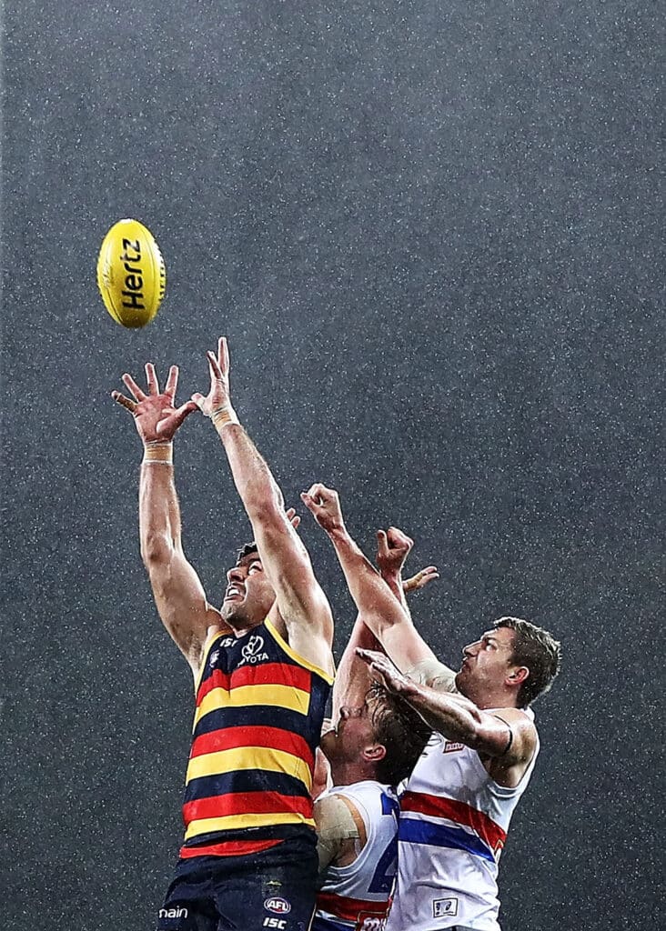 2017 AFL | Adelaide Football Club