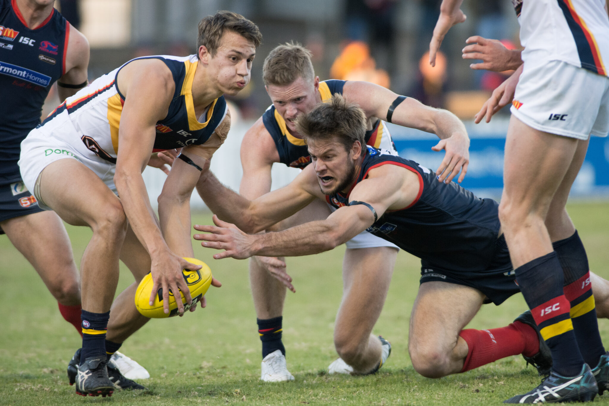 2017 AFL | Adelaide Football Club