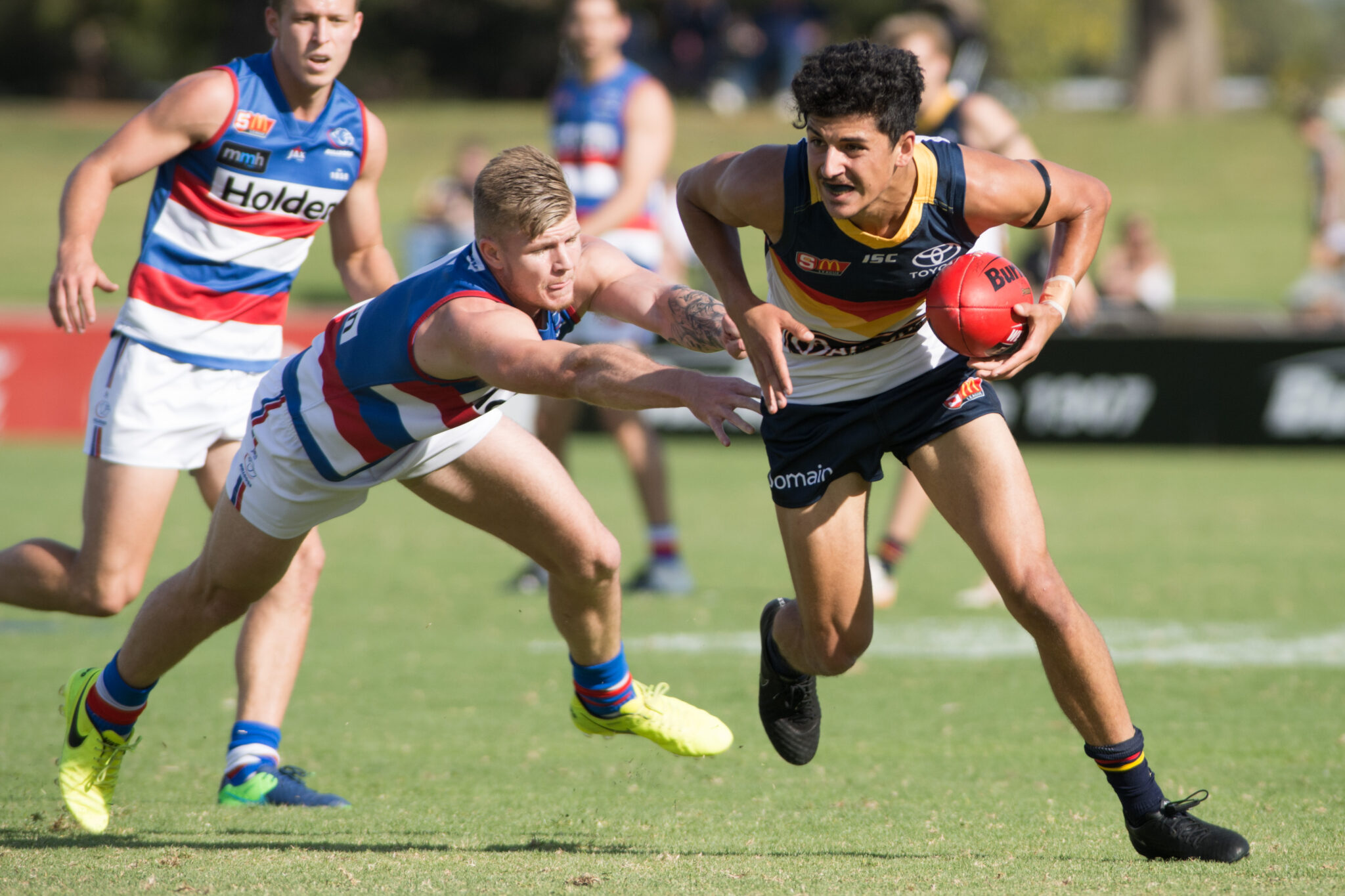 2017 AFL | Adelaide Football Club