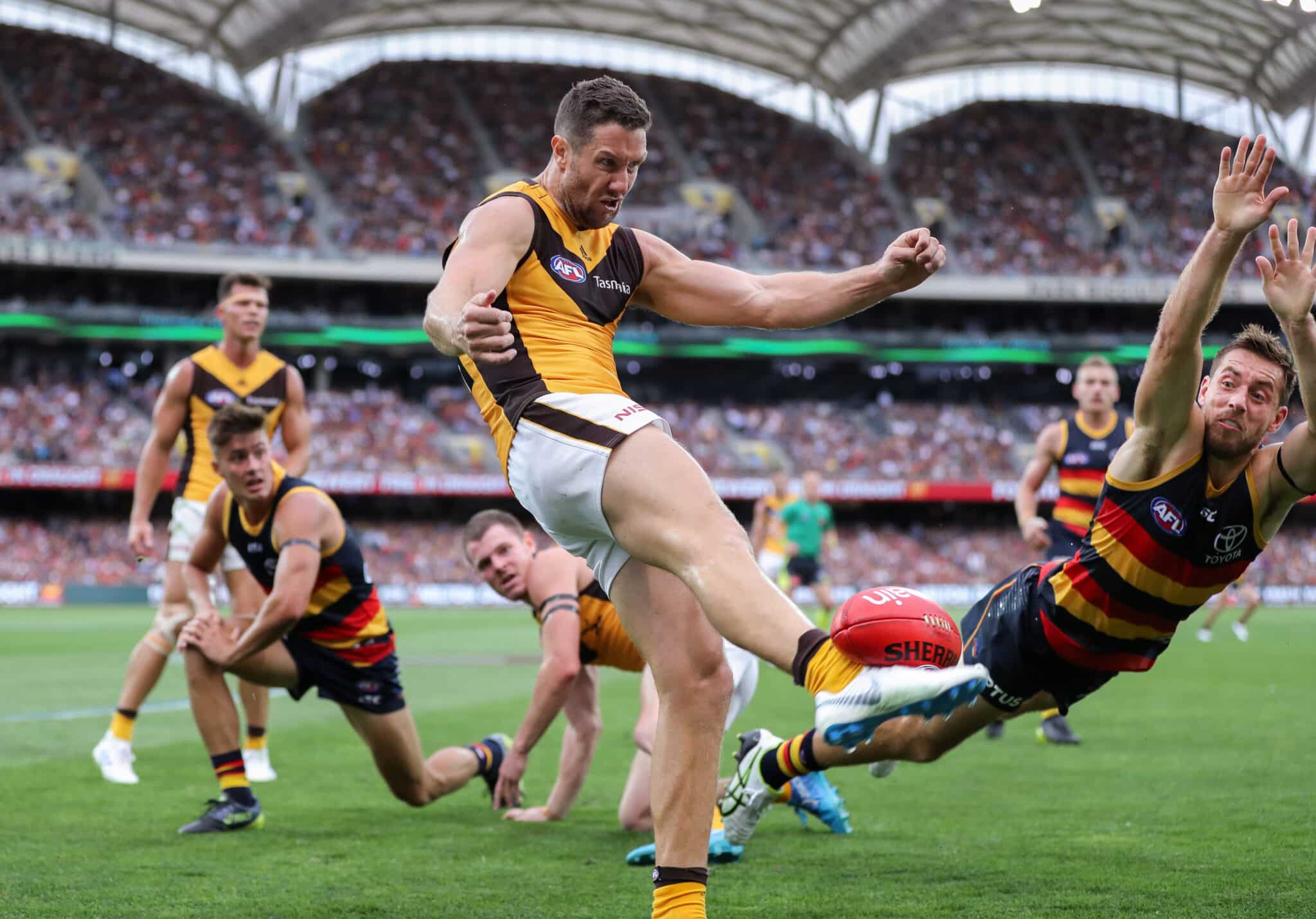 2019 AFL | Adelaide Football Club