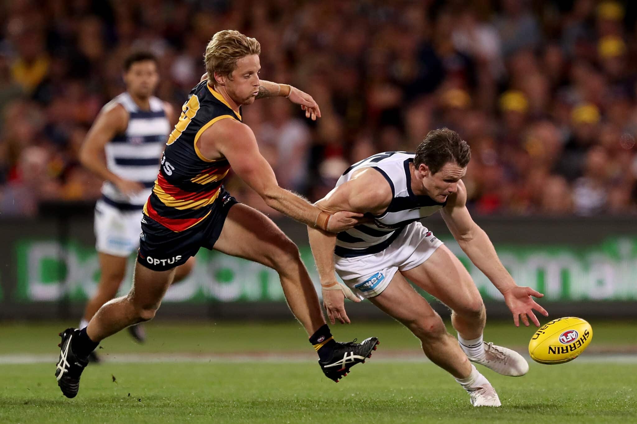 2019 AFL | Adelaide Football Club