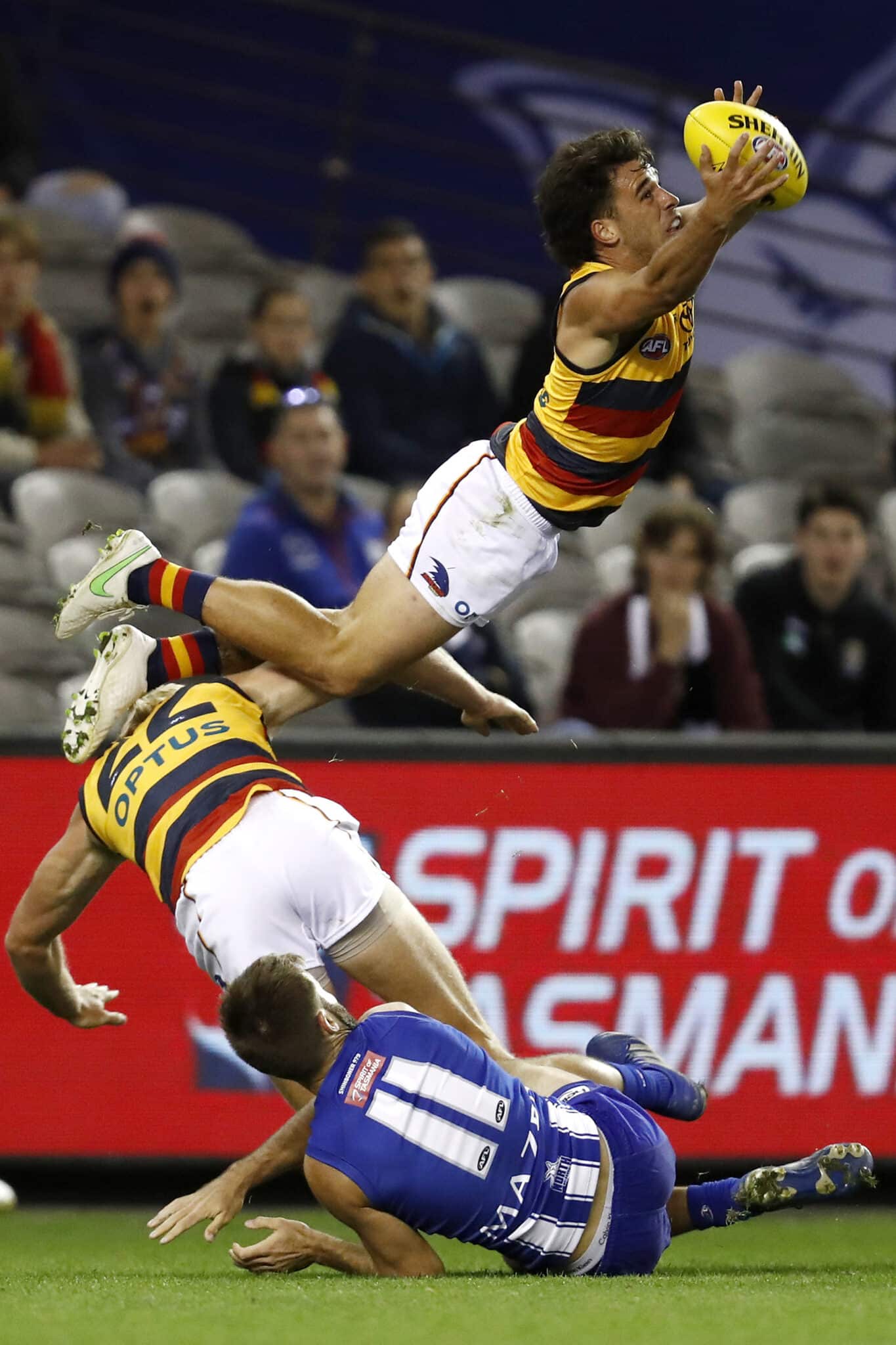 2021 AFL | Adelaide Football Club