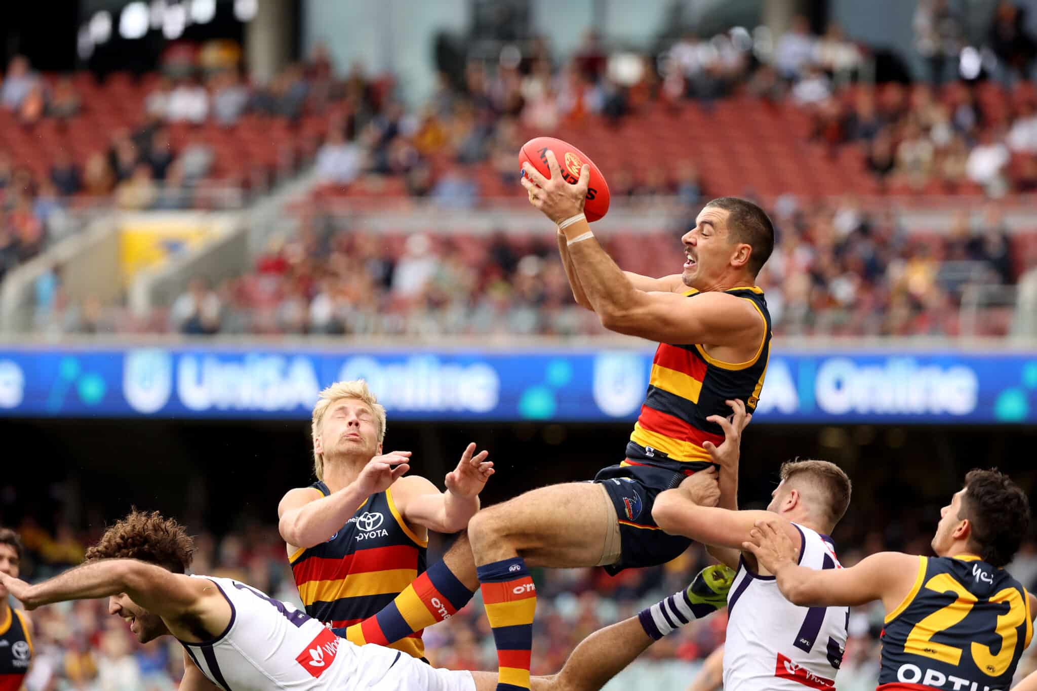 2021 AFL | Adelaide Football Club