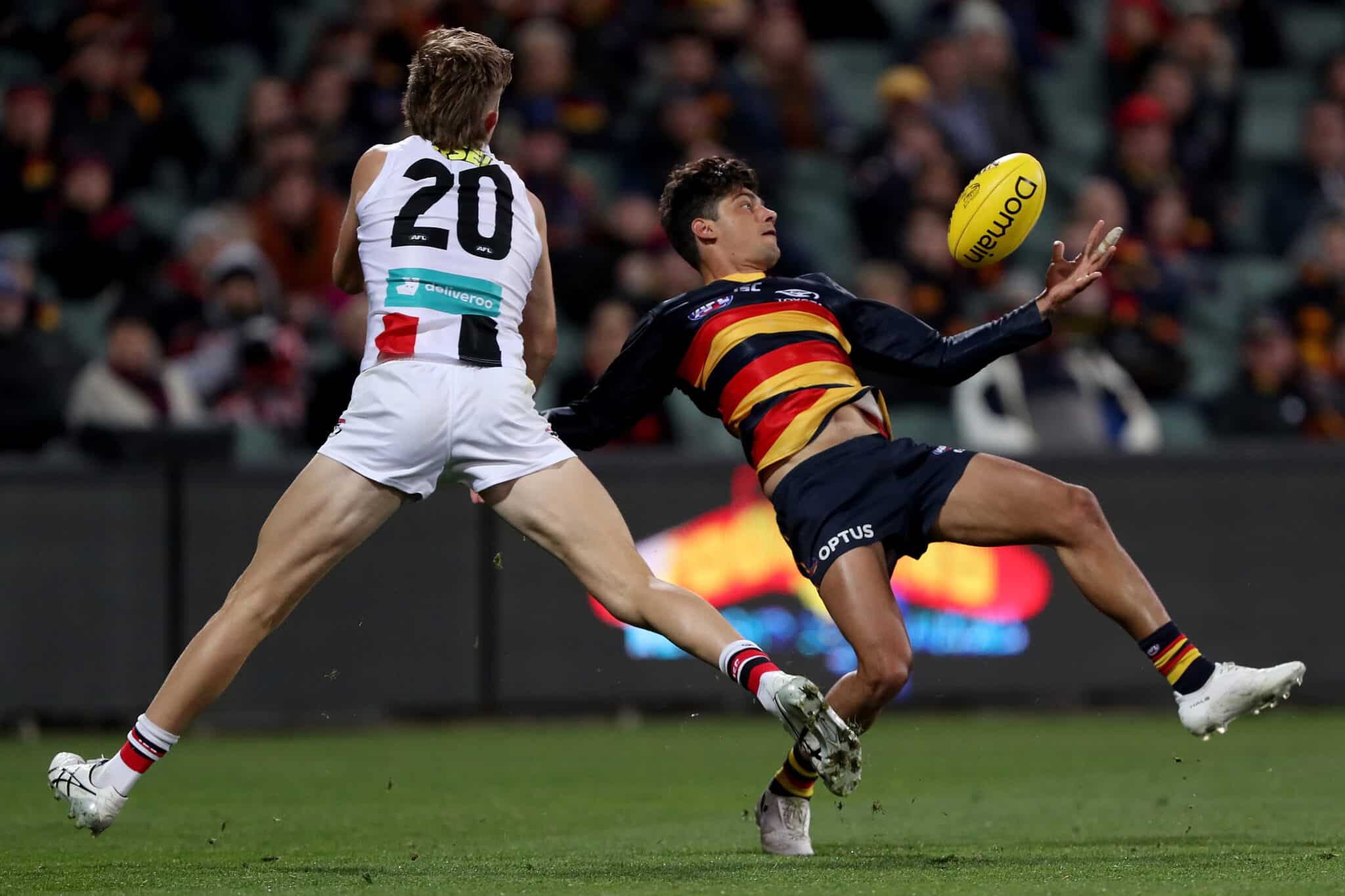 2020 AFL | Adelaide Football Club