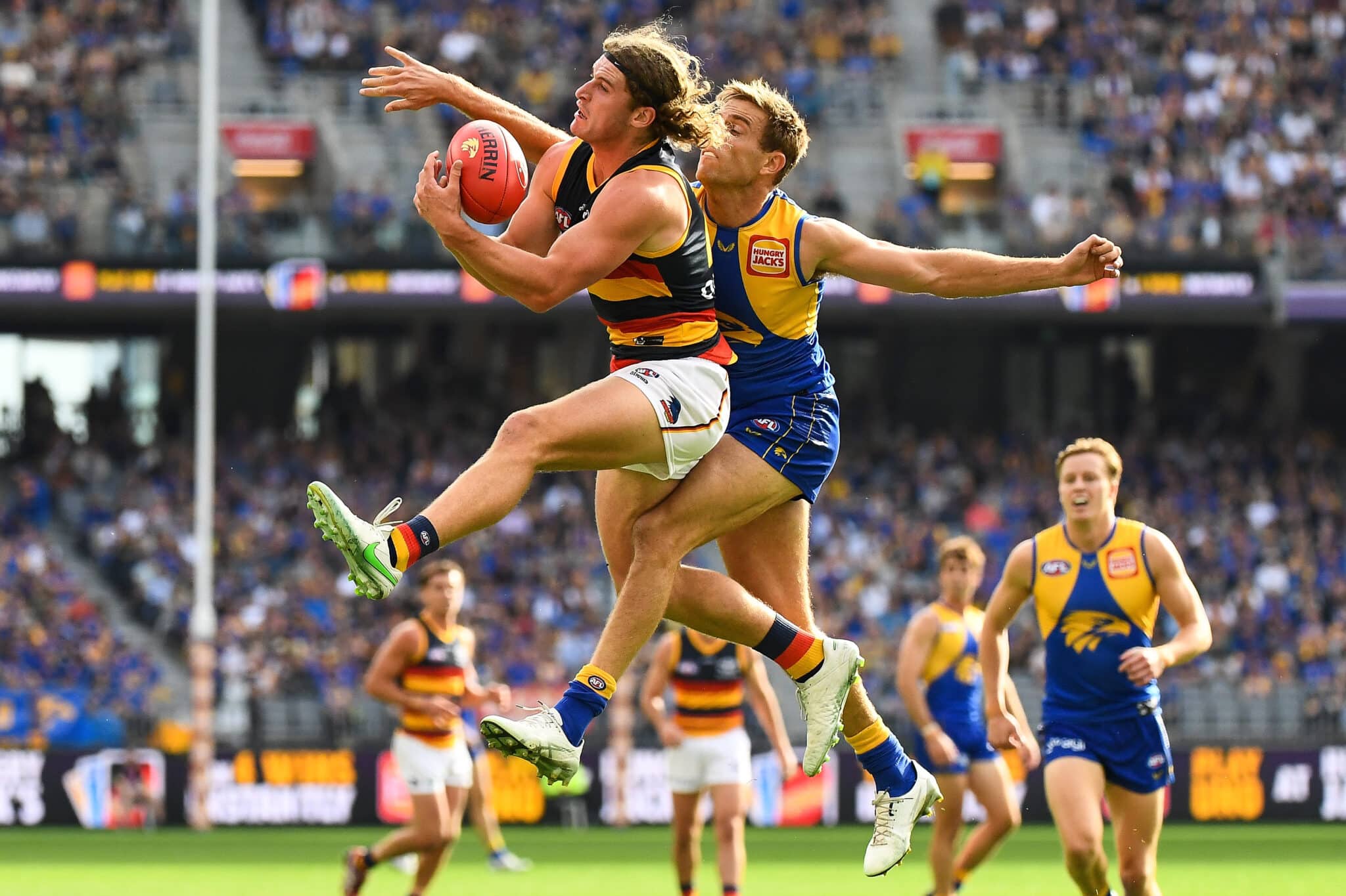 2021 AFL | Adelaide Football Club