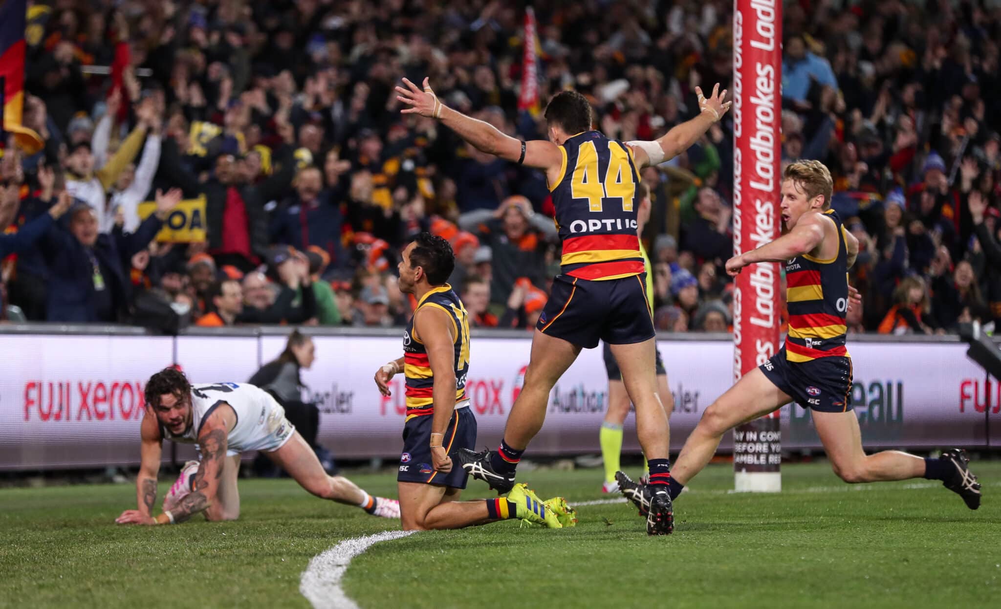 2019 AFL | Adelaide Football Club