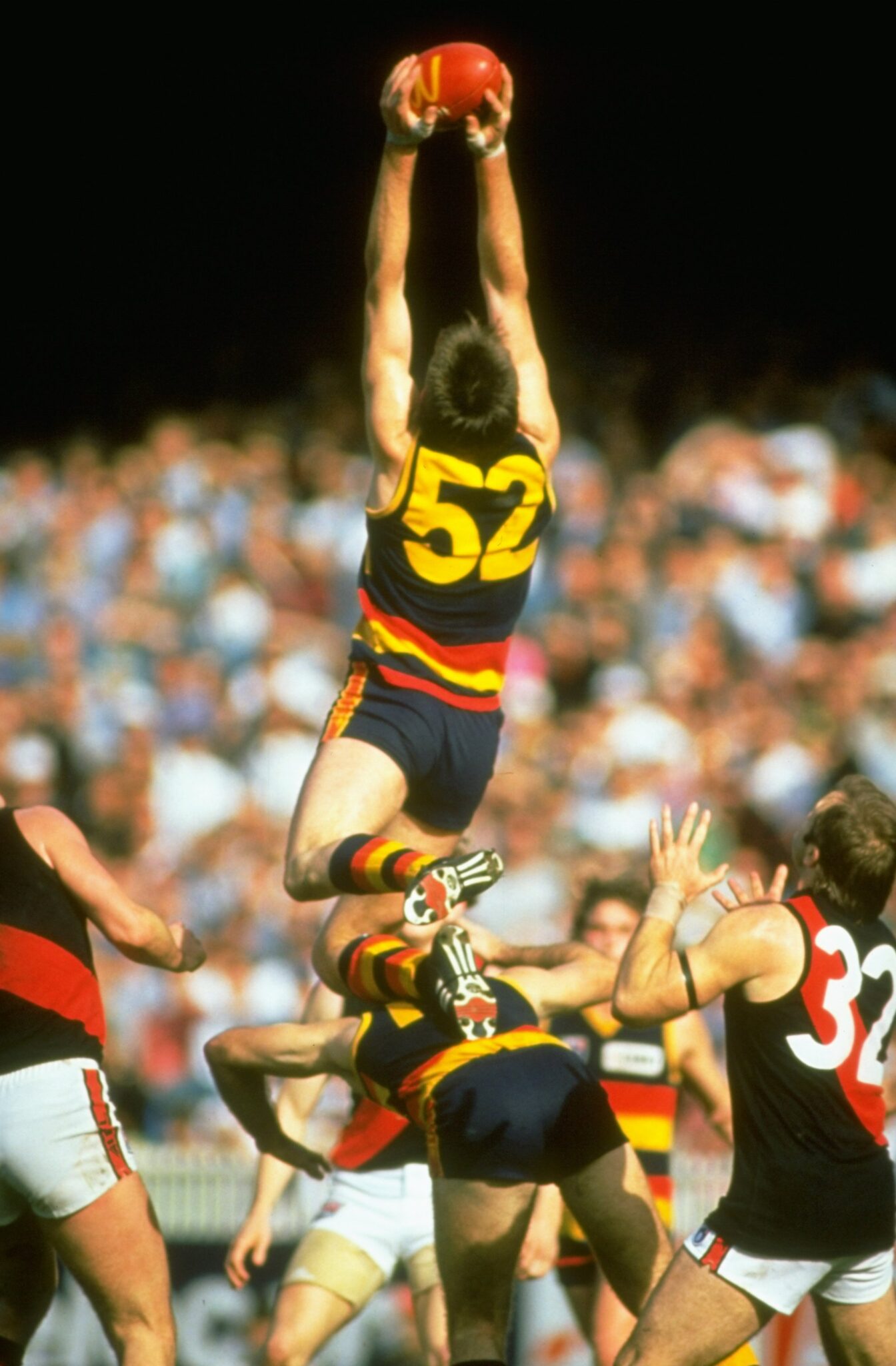 1998 | Adelaide Football Club