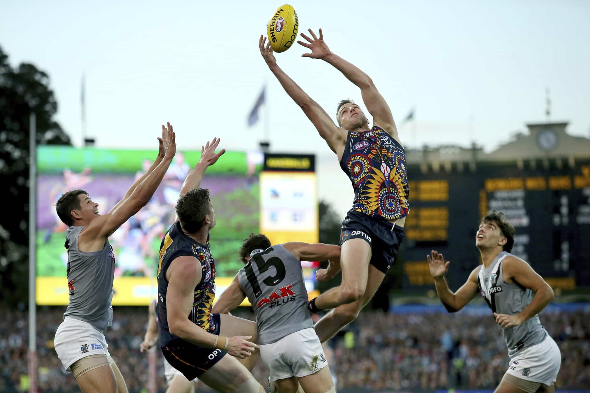 2019 AFL | Adelaide Football Club