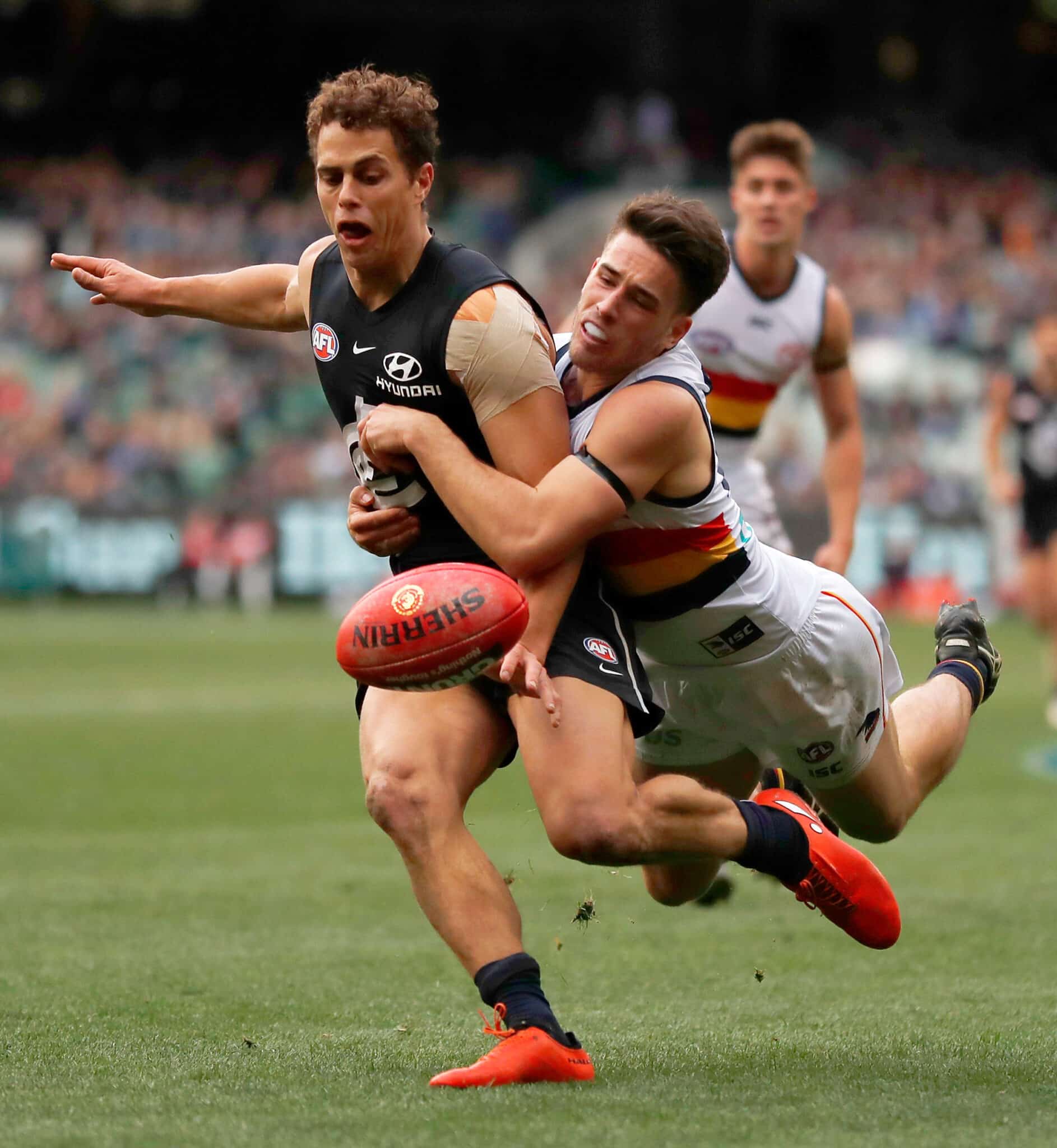 2019 AFL | Adelaide Football Club