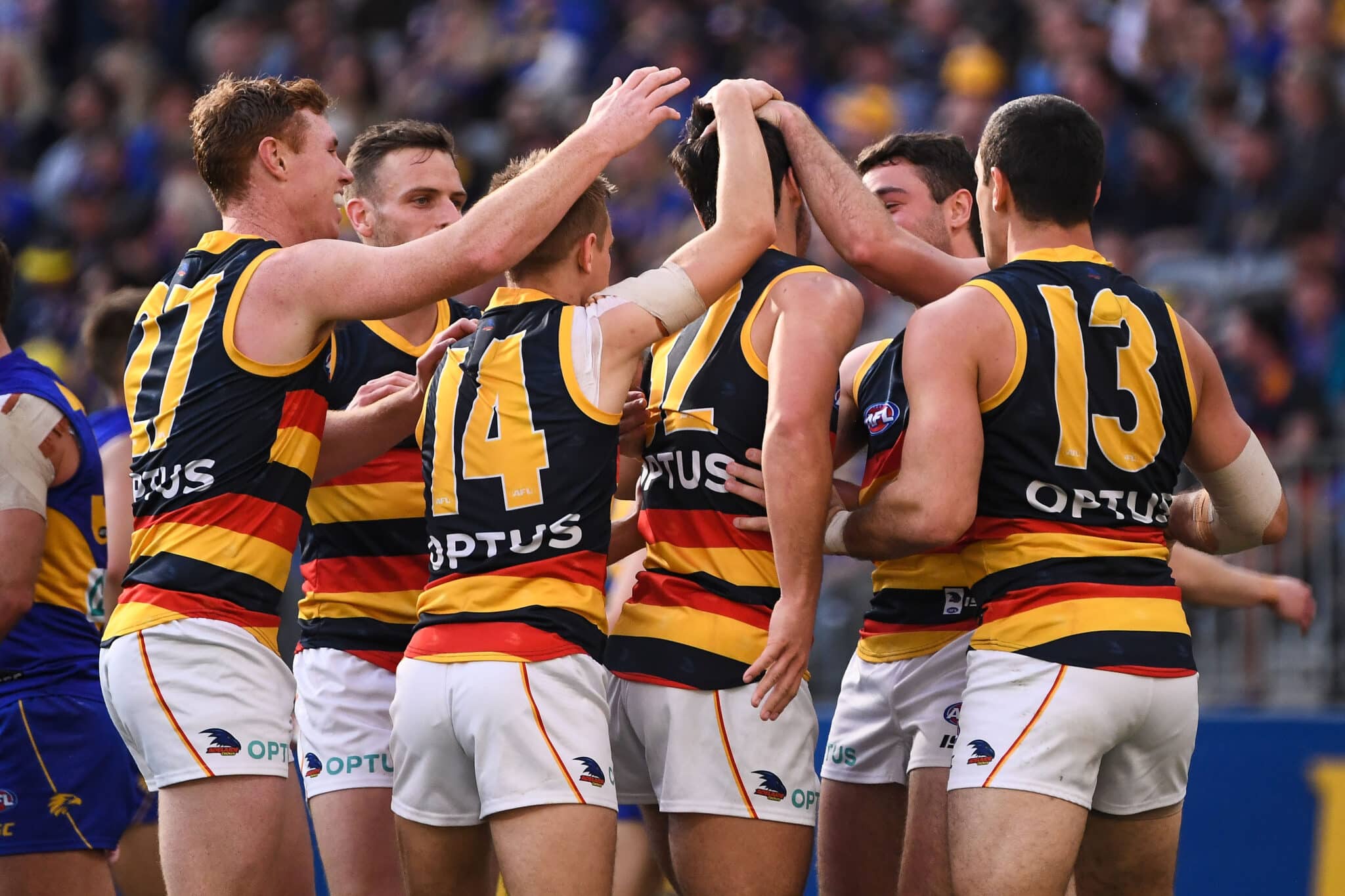 2019 AFL | Adelaide Football Club
