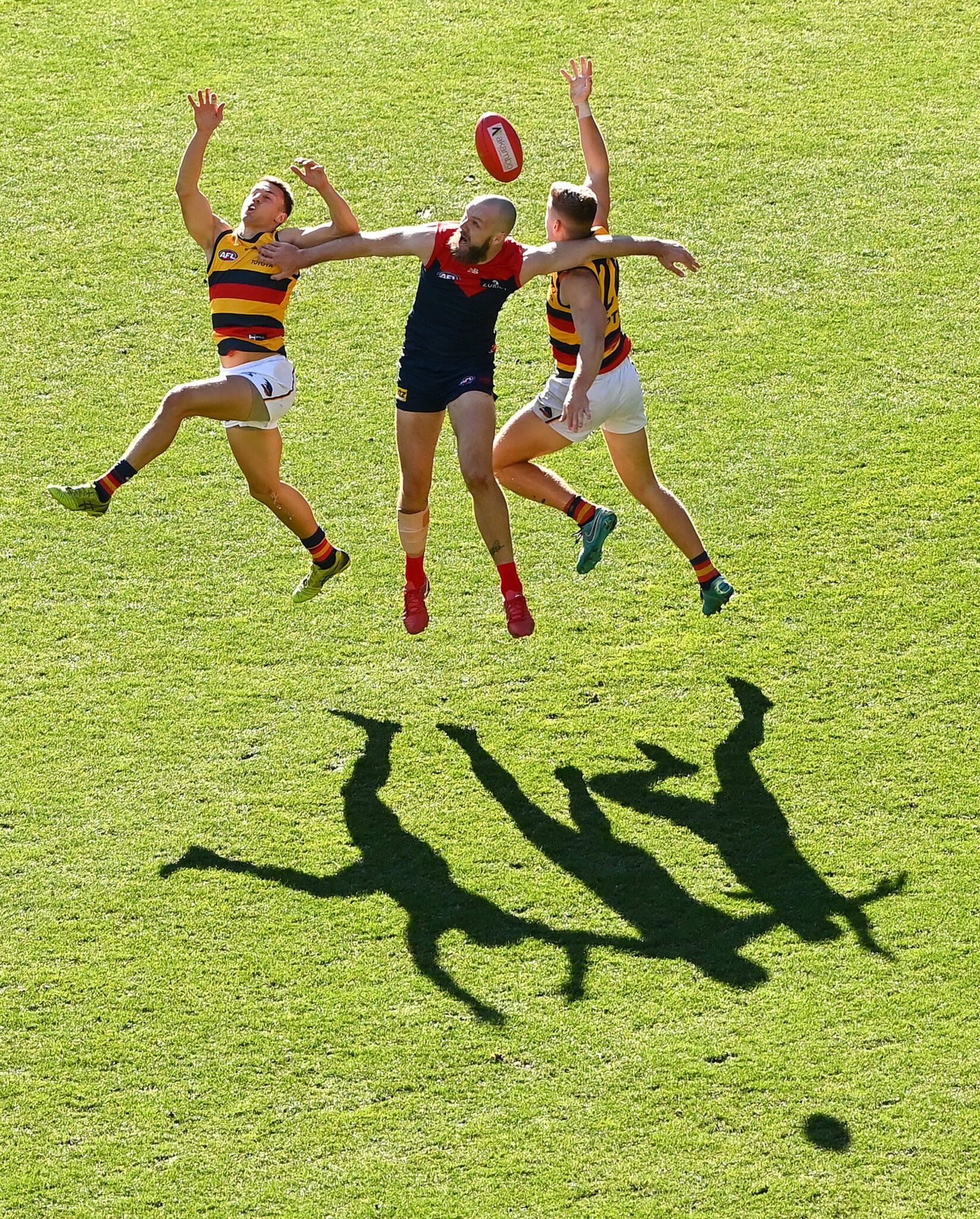 2021 AFL | Adelaide Football Club
