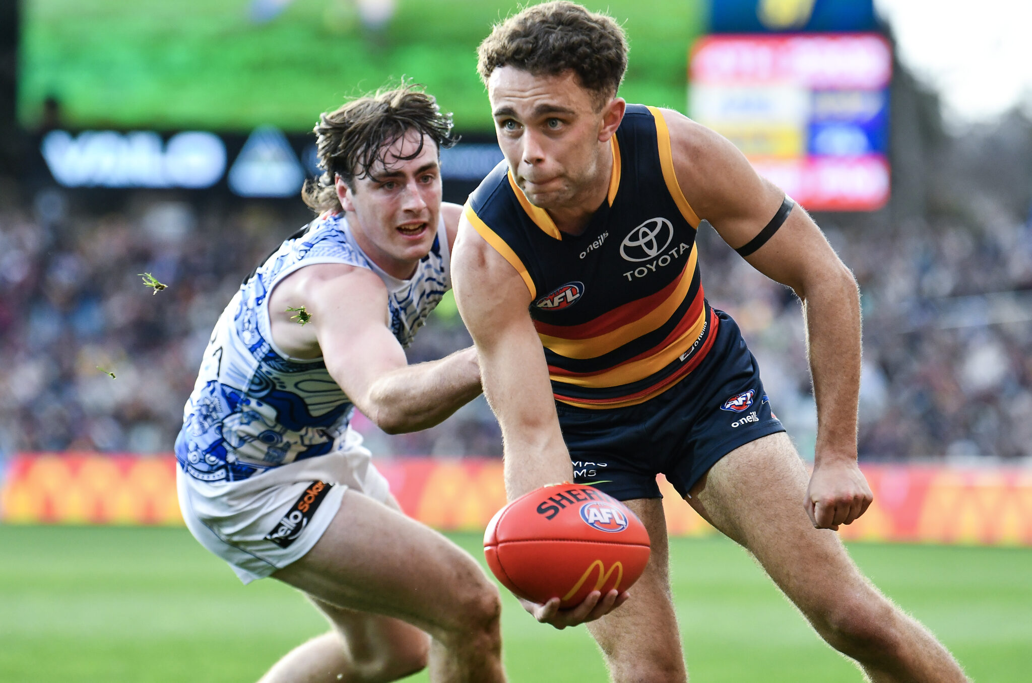 2023 AFL | Adelaide Football Club
