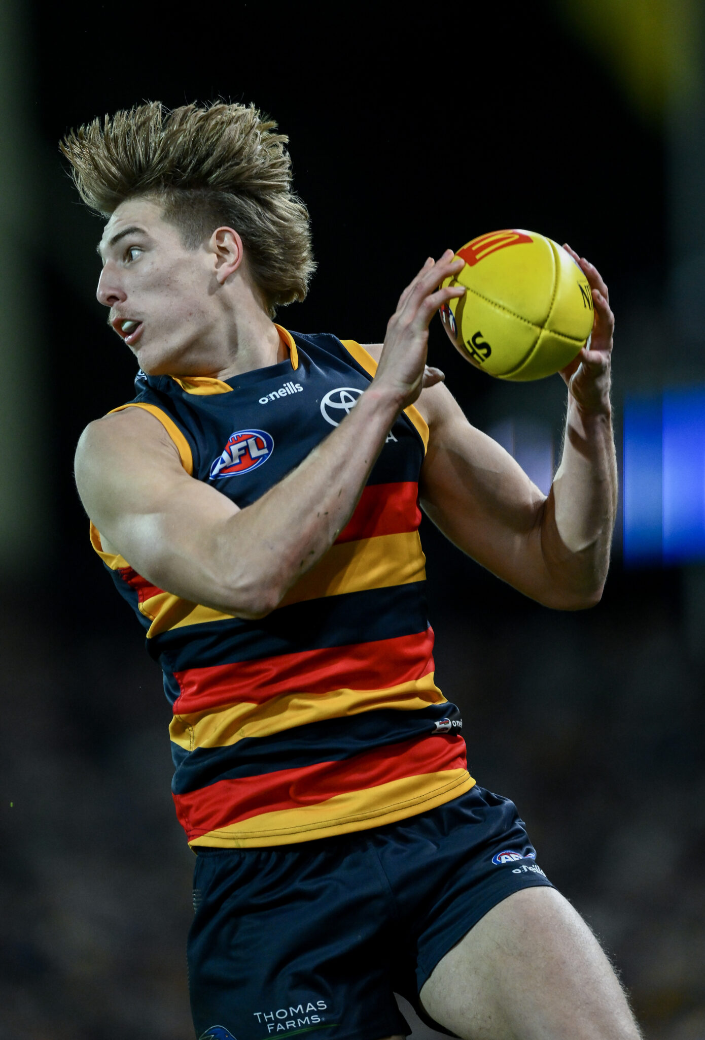 2023 AFL | Adelaide Football Club