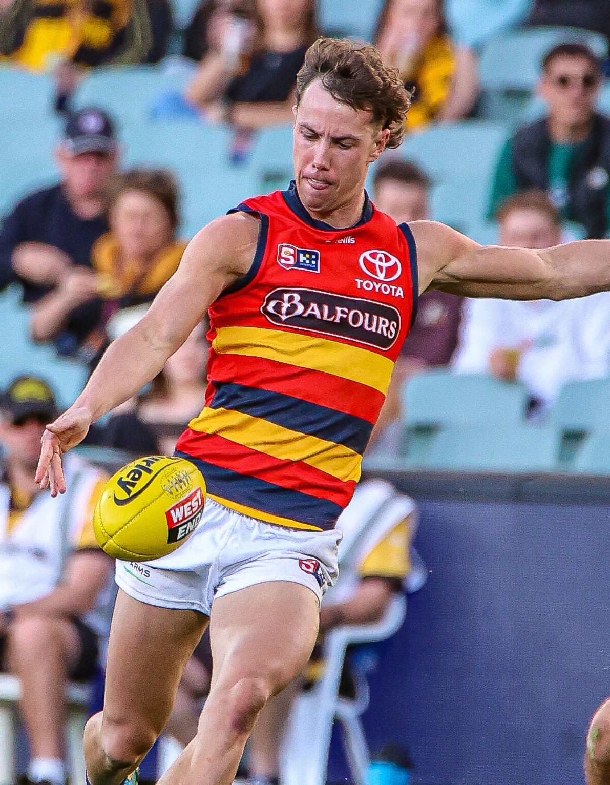 Tyler Brown | Adelaide Football Club