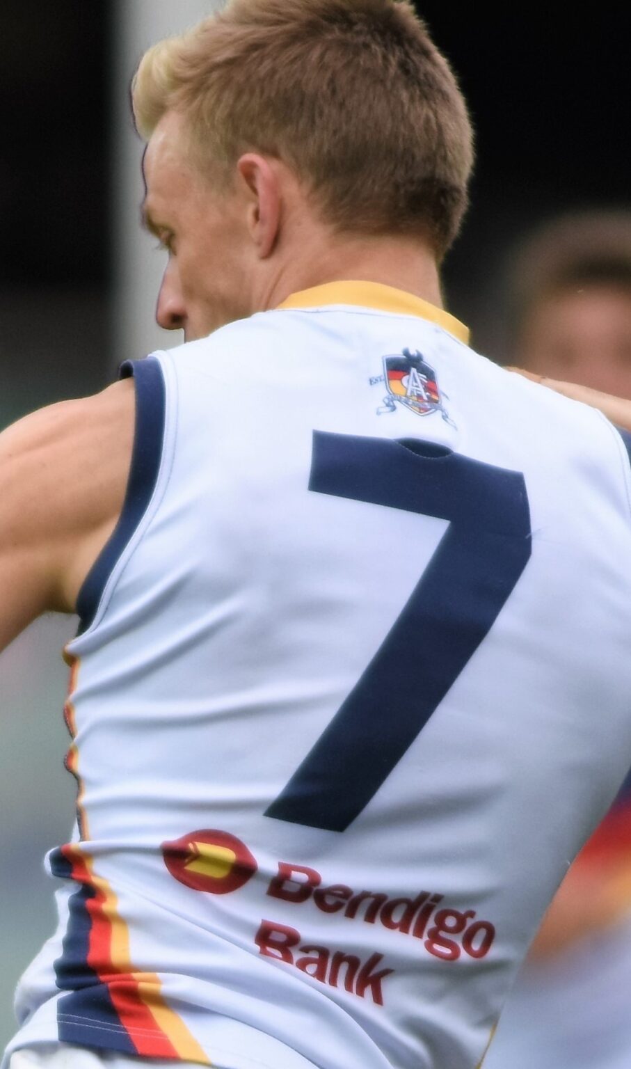 Logo and Crest | Adelaide Football Club
