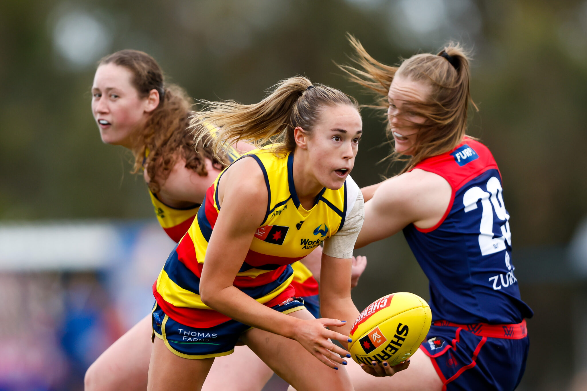 2023 AFLW | Adelaide Football Club