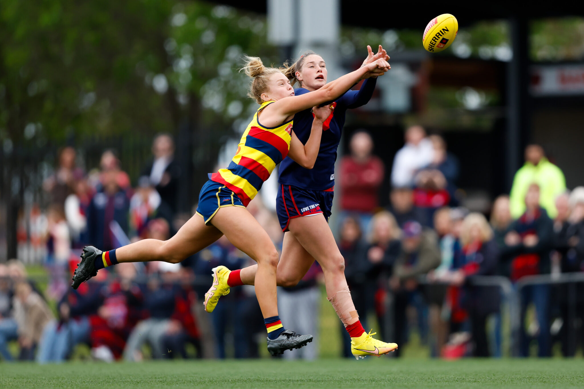 2023 AFLW | Adelaide Football Club