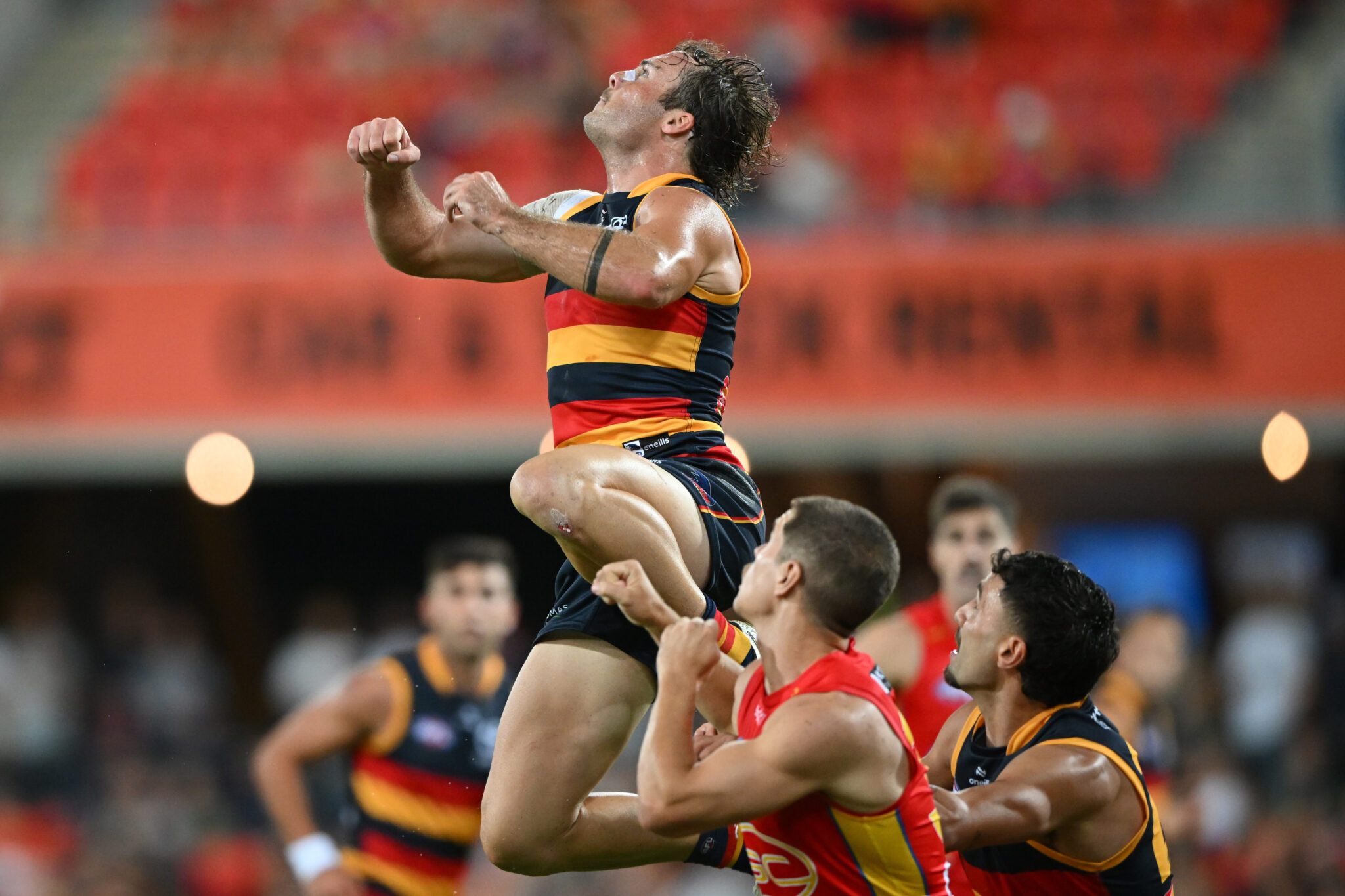 2024 AFL | Adelaide Football Club