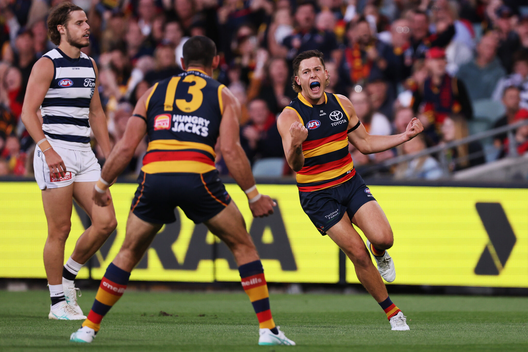 2024 AFL | Adelaide Football Club