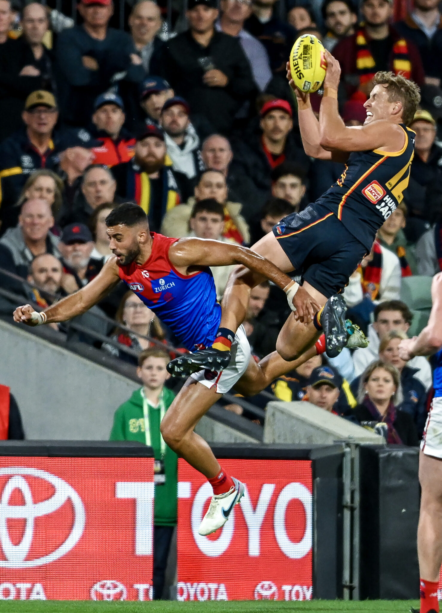 2024 AFL | Adelaide Football Club