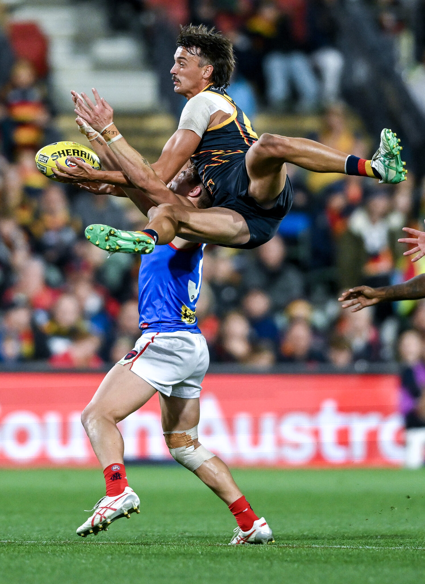 2024 AFL | Adelaide Football Club